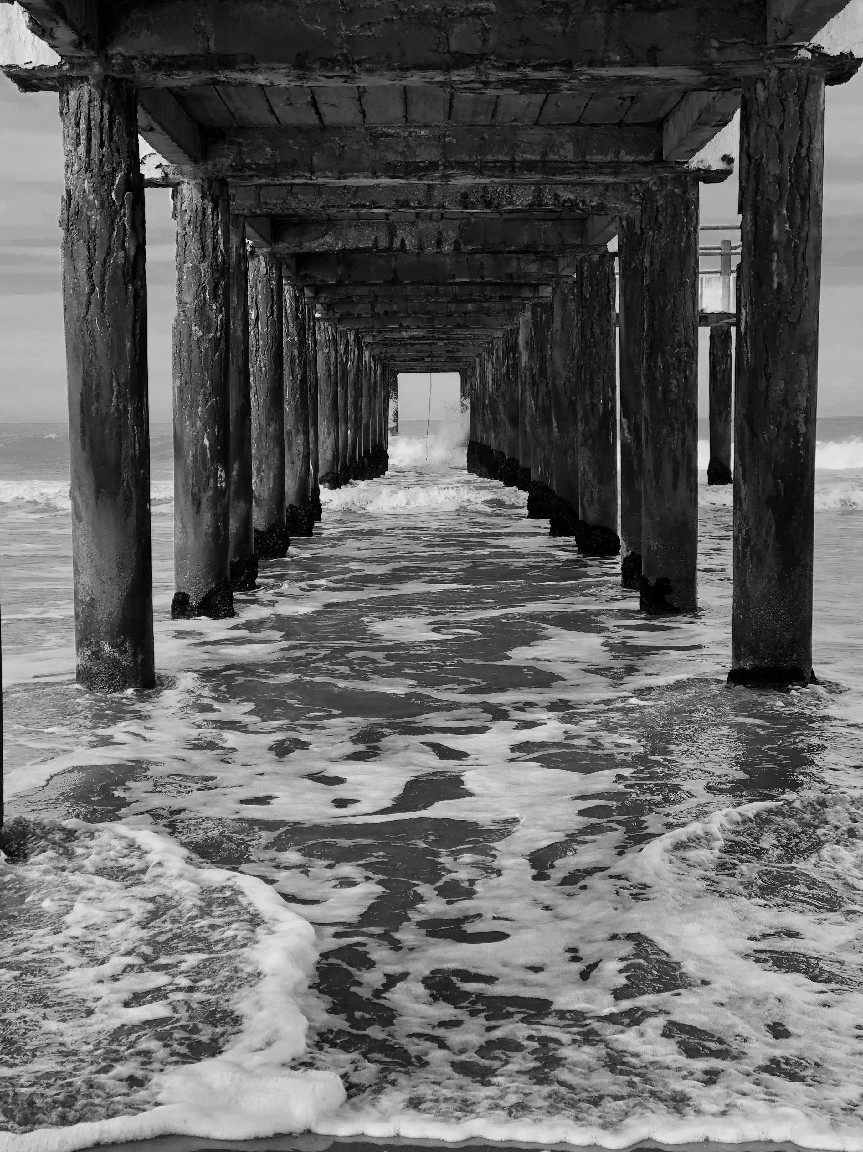Wooden Beams of Pier on Sea Shore · Free Stock Photo