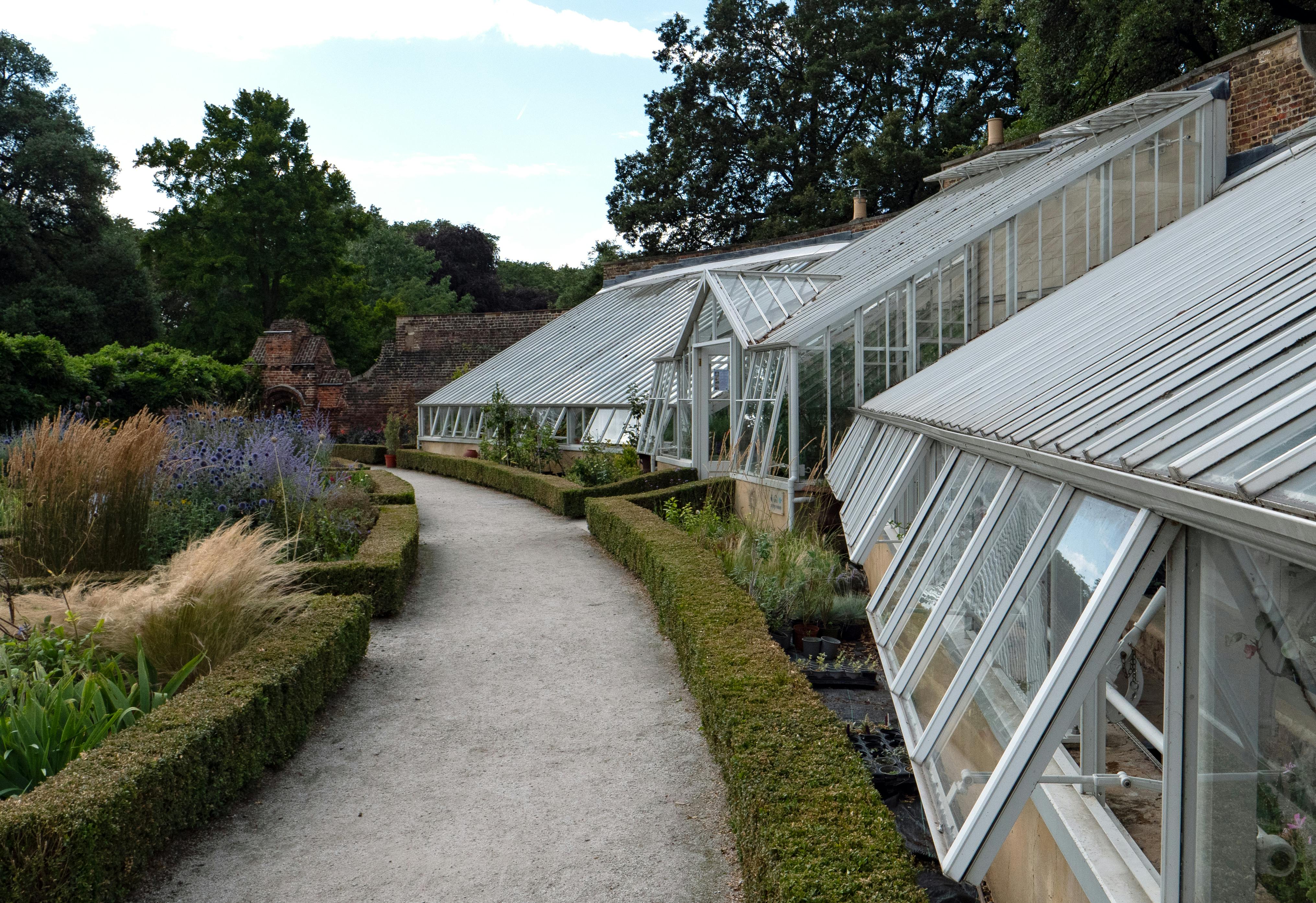 Cartoon Garden Photos, Download The BEST Free Cartoon Garden Stock ...