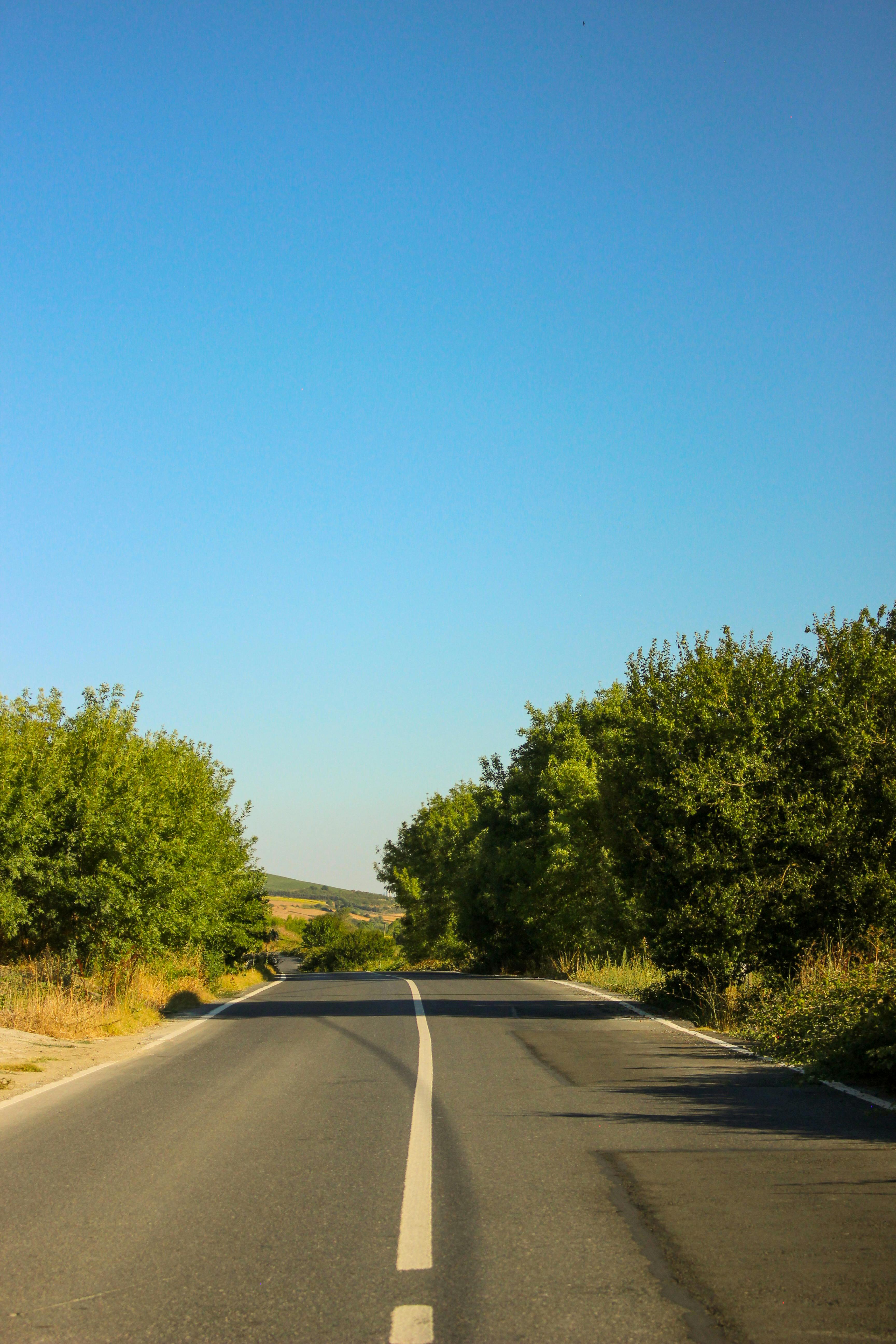 Road in the Countryside with Trees on the Roadside · Free Stock Photo