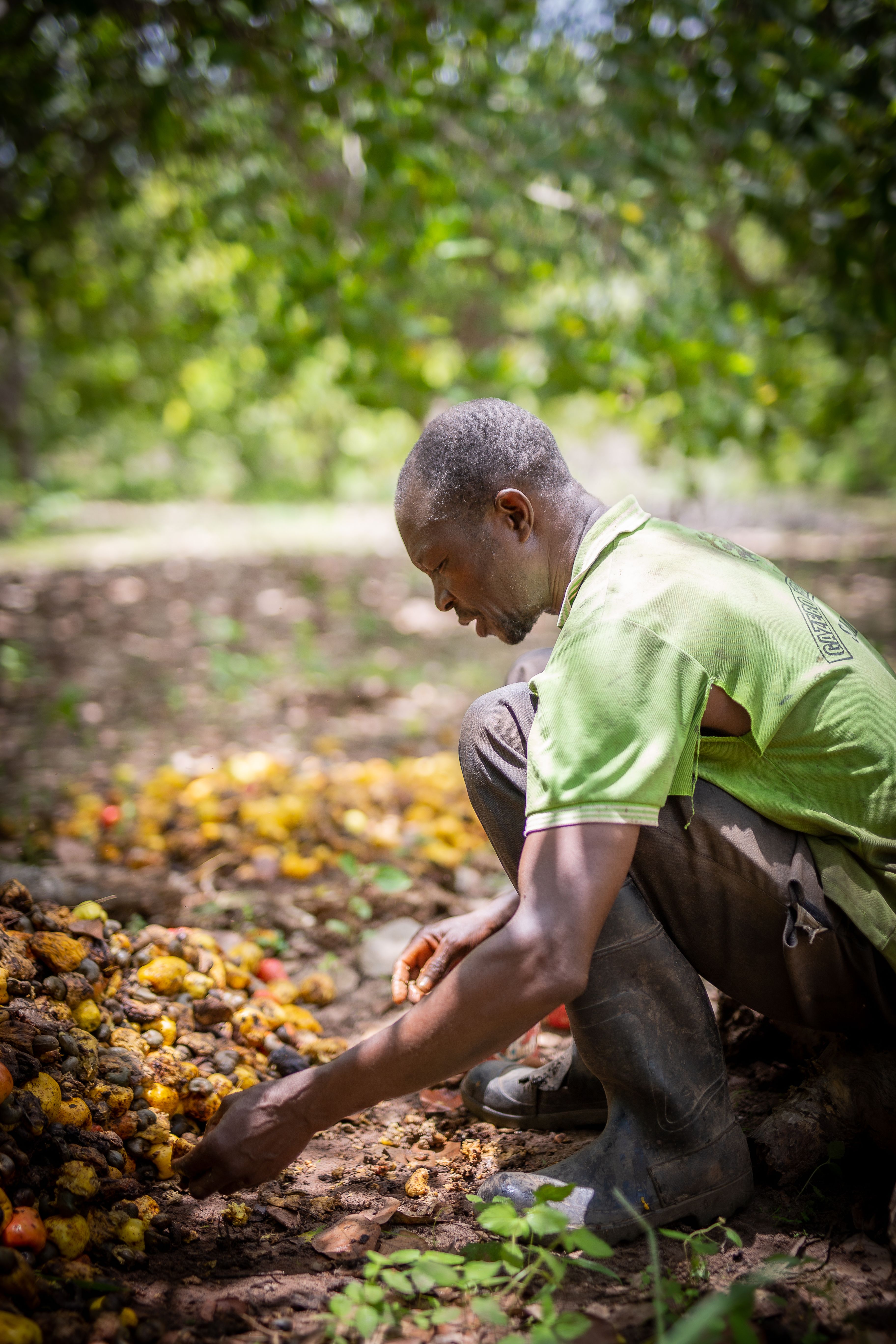 Black Men Working In Farm Photos, Download The BEST Free Black Men ...