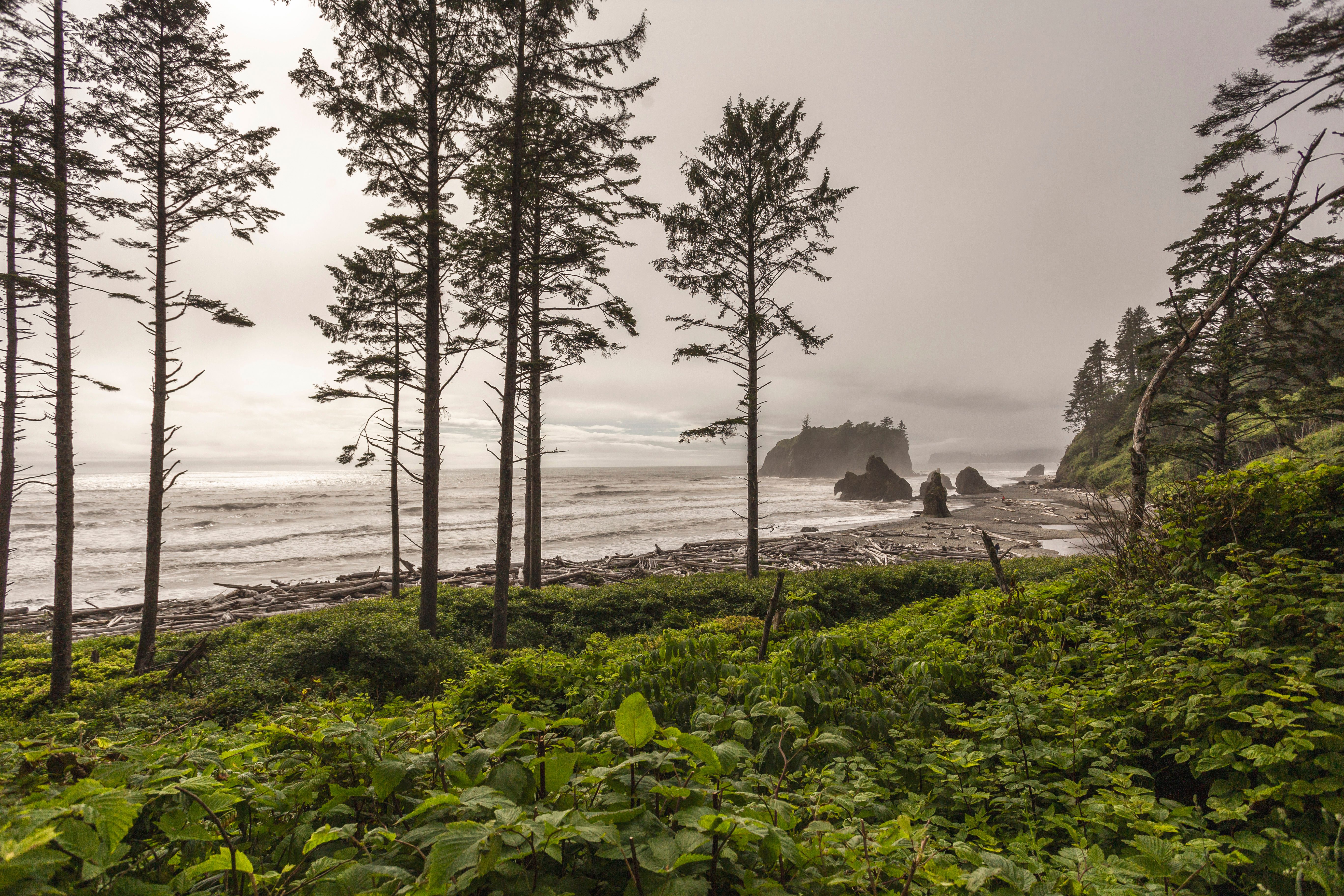 Virginia Washington Photos, Download The BEST Free Virginia Washington ...