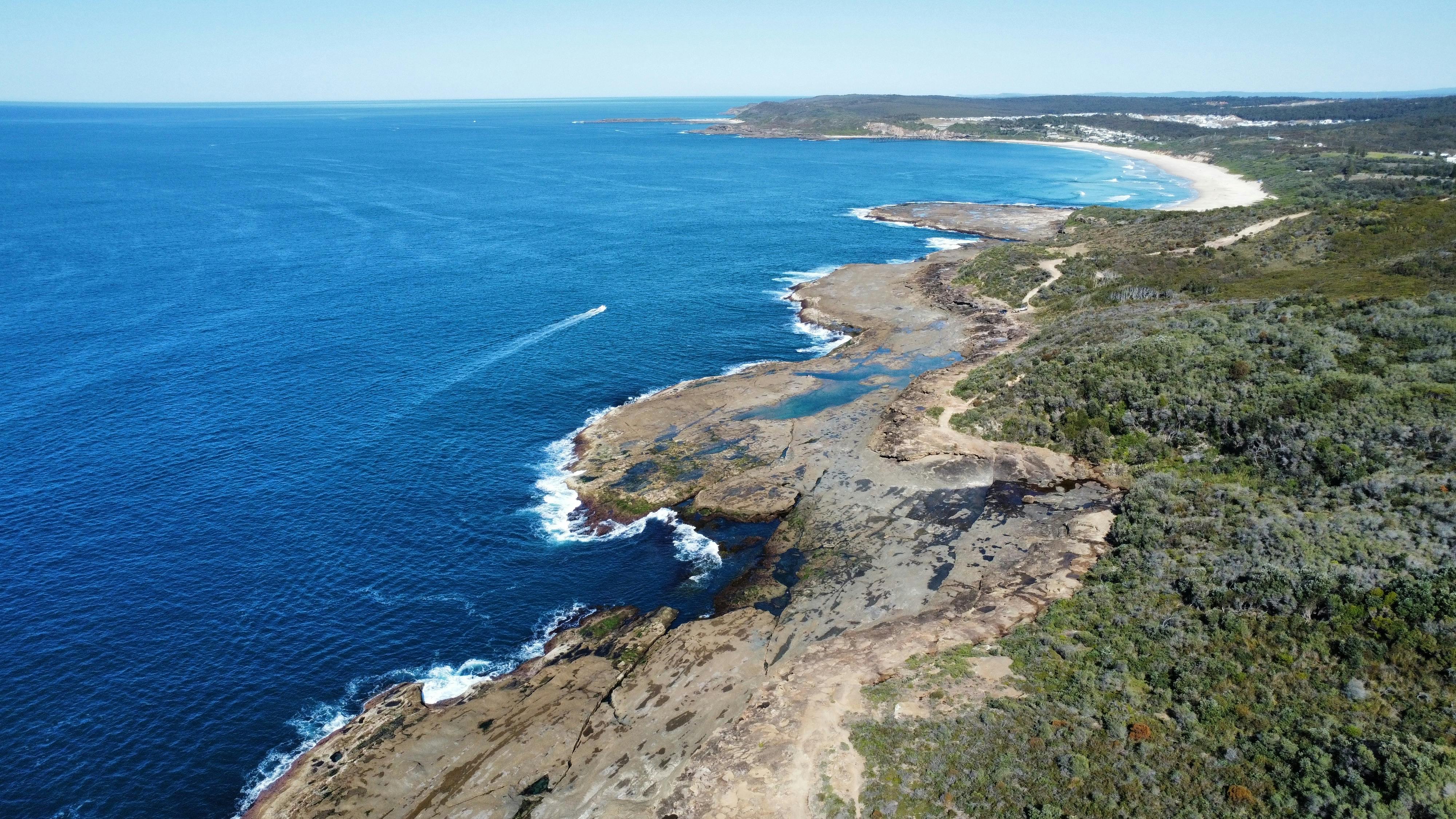 Rocky and Forested Coast · Free Stock Photo