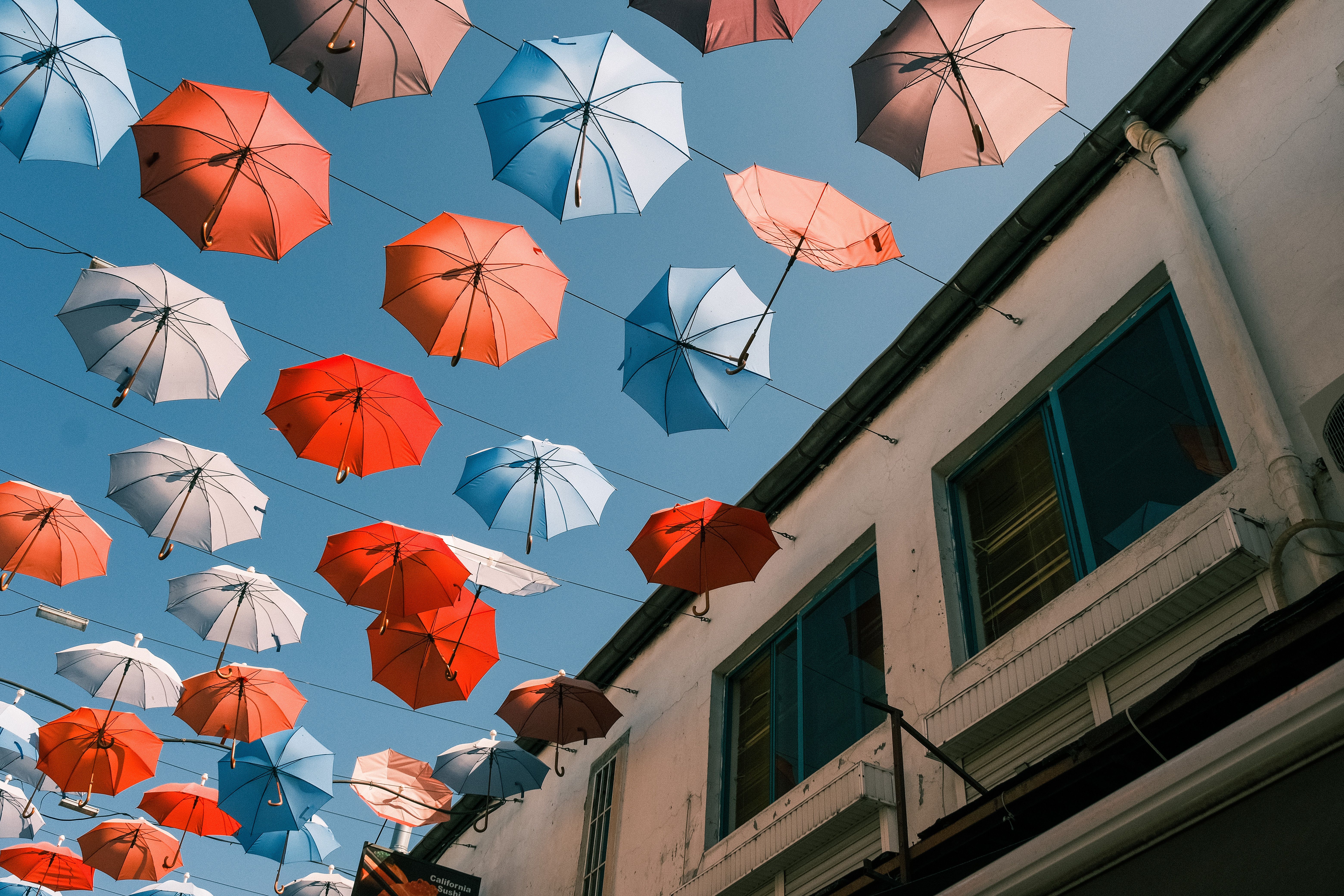 Hanging Umbrellas · Free Stock Photo
