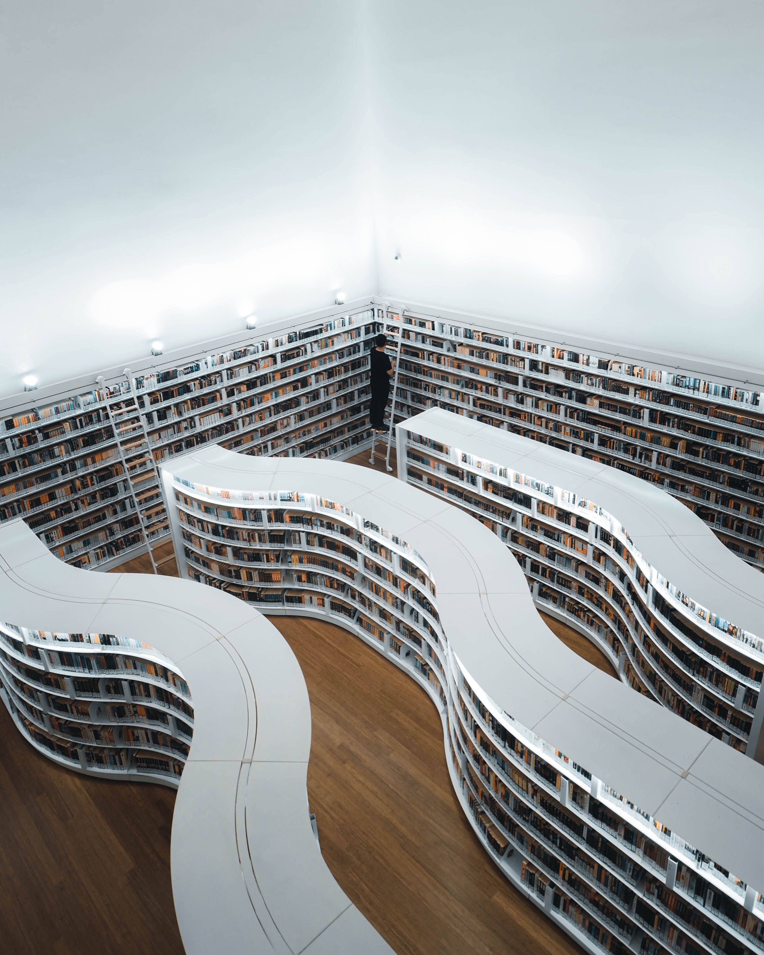 Wavy Bookshelves in a Library · Free Stock Photo