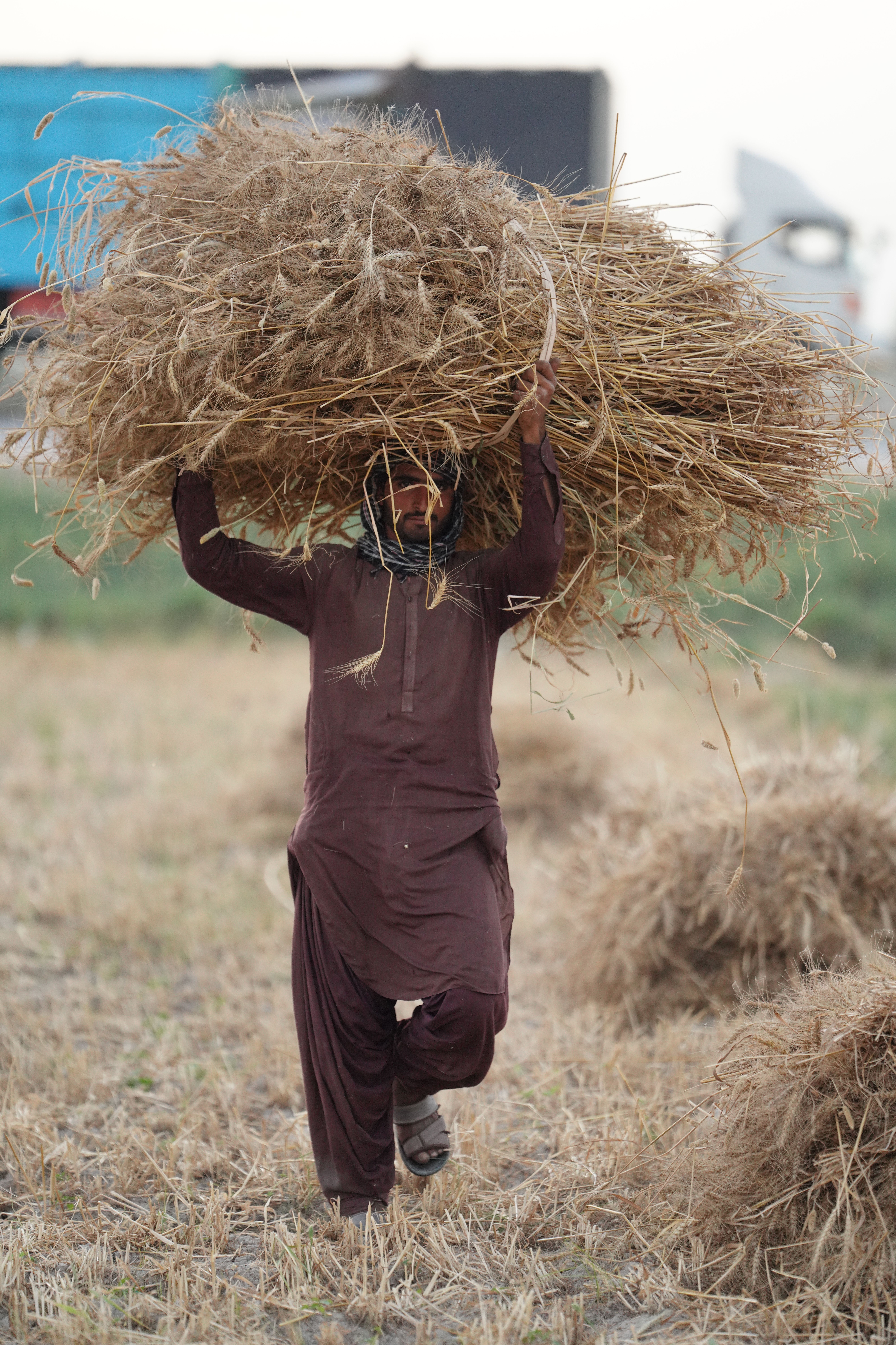 Man Carrying a Bundle of Hay · Free Stock Photo