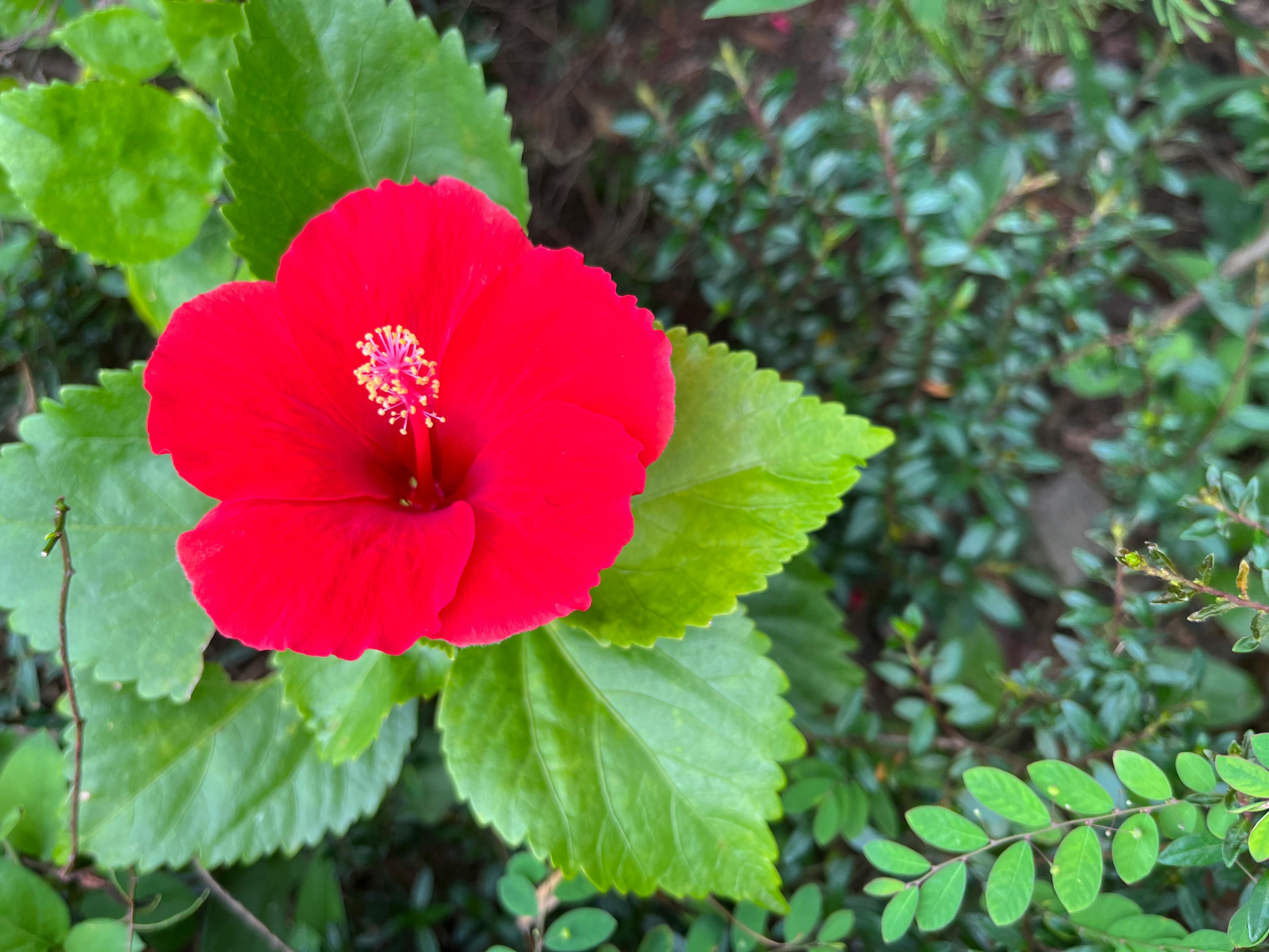 Amy Law - Photographie