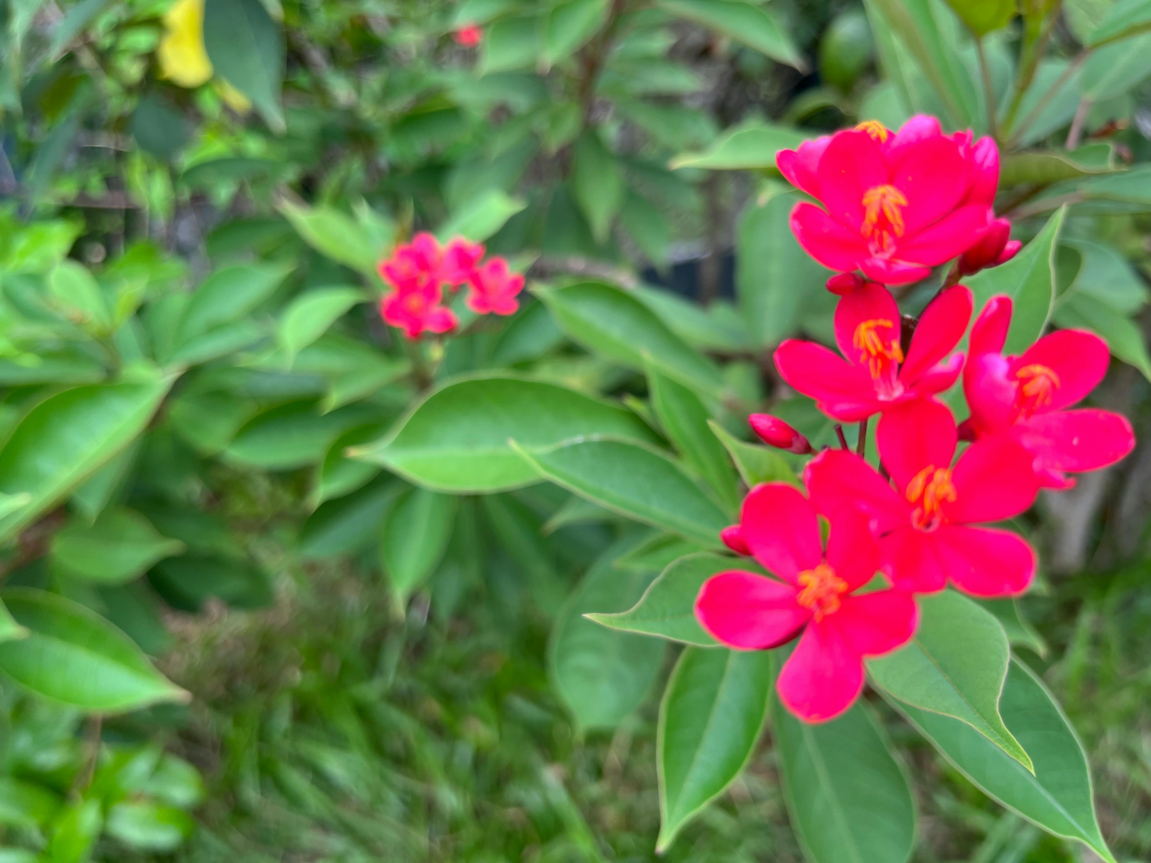 Amy Law - Photographie