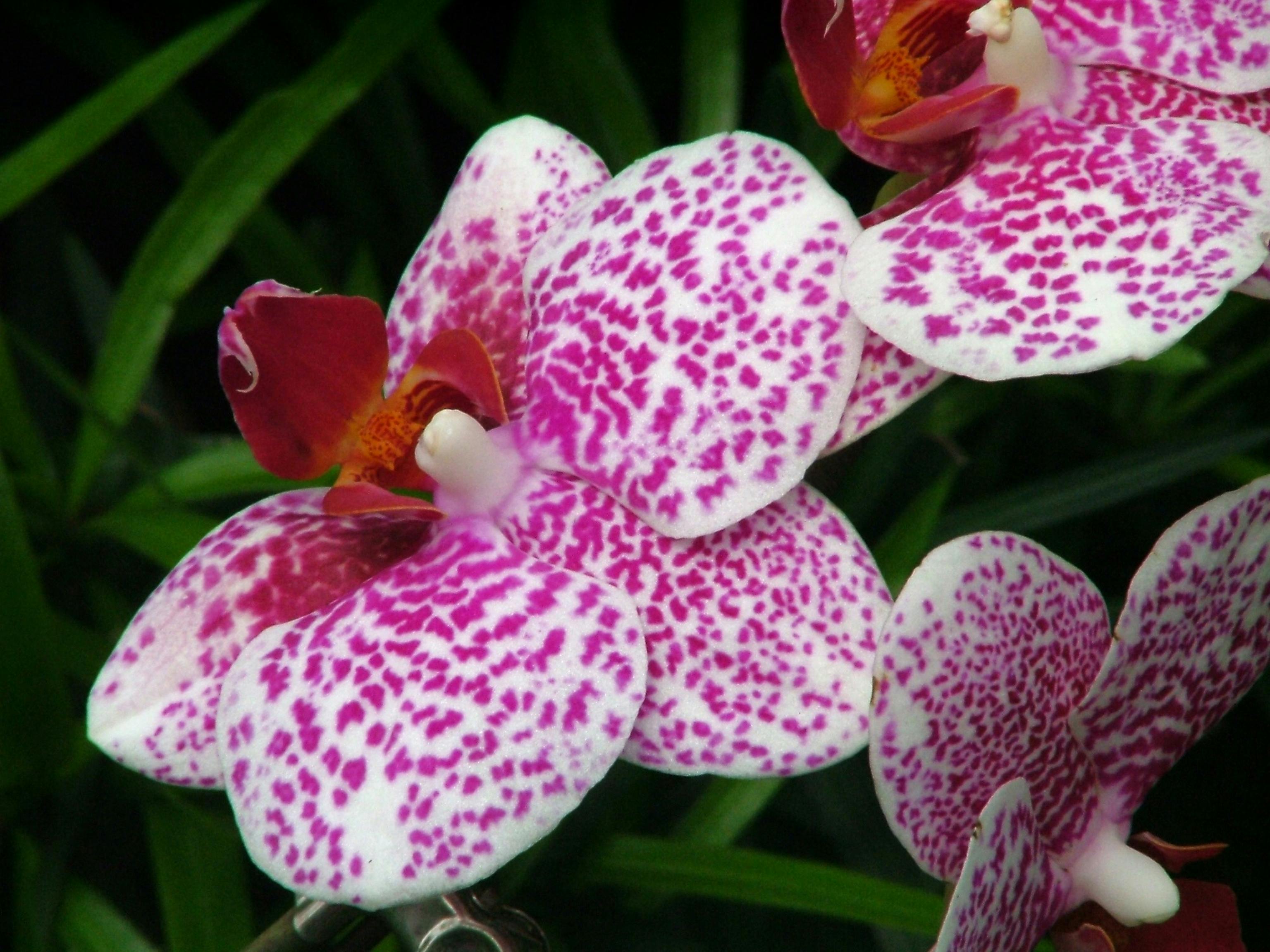 Amy Law - Photographie