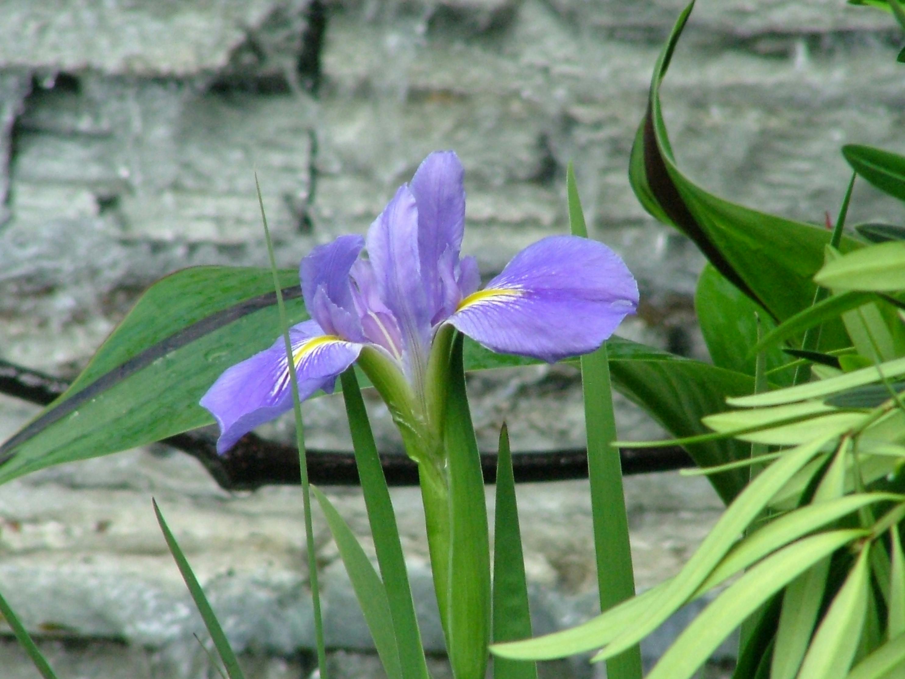 Amy Law - Photographie