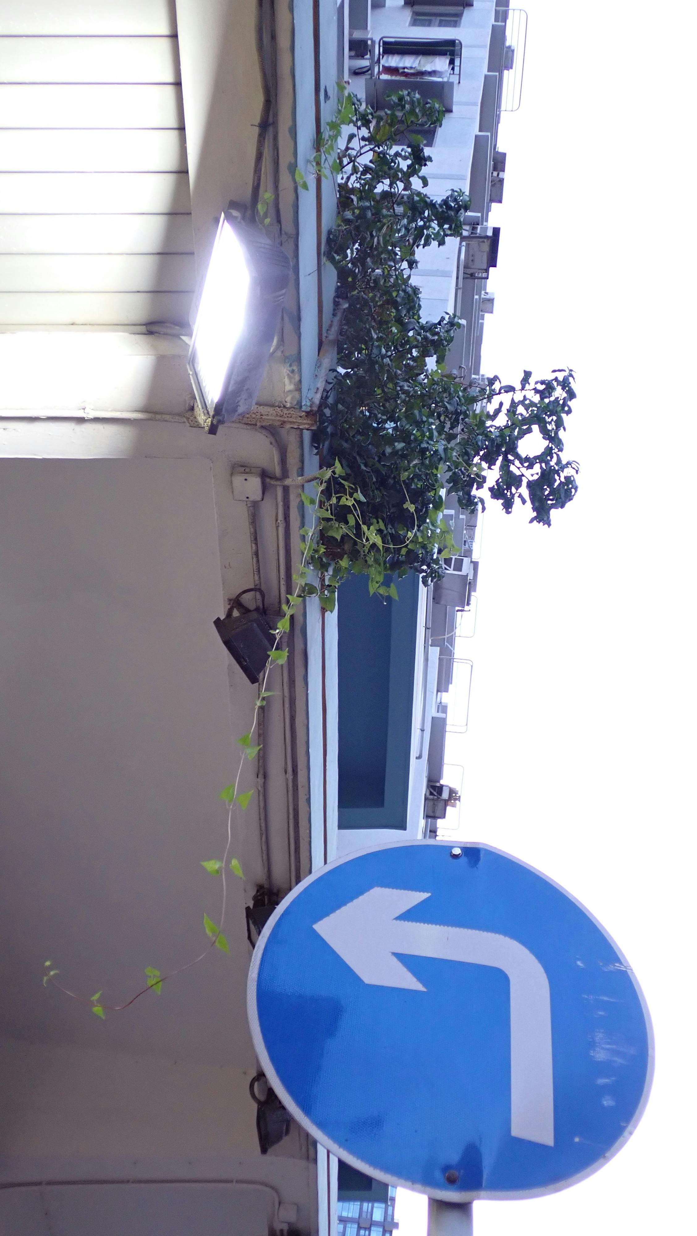 terry narcissan tsui - Fotografie