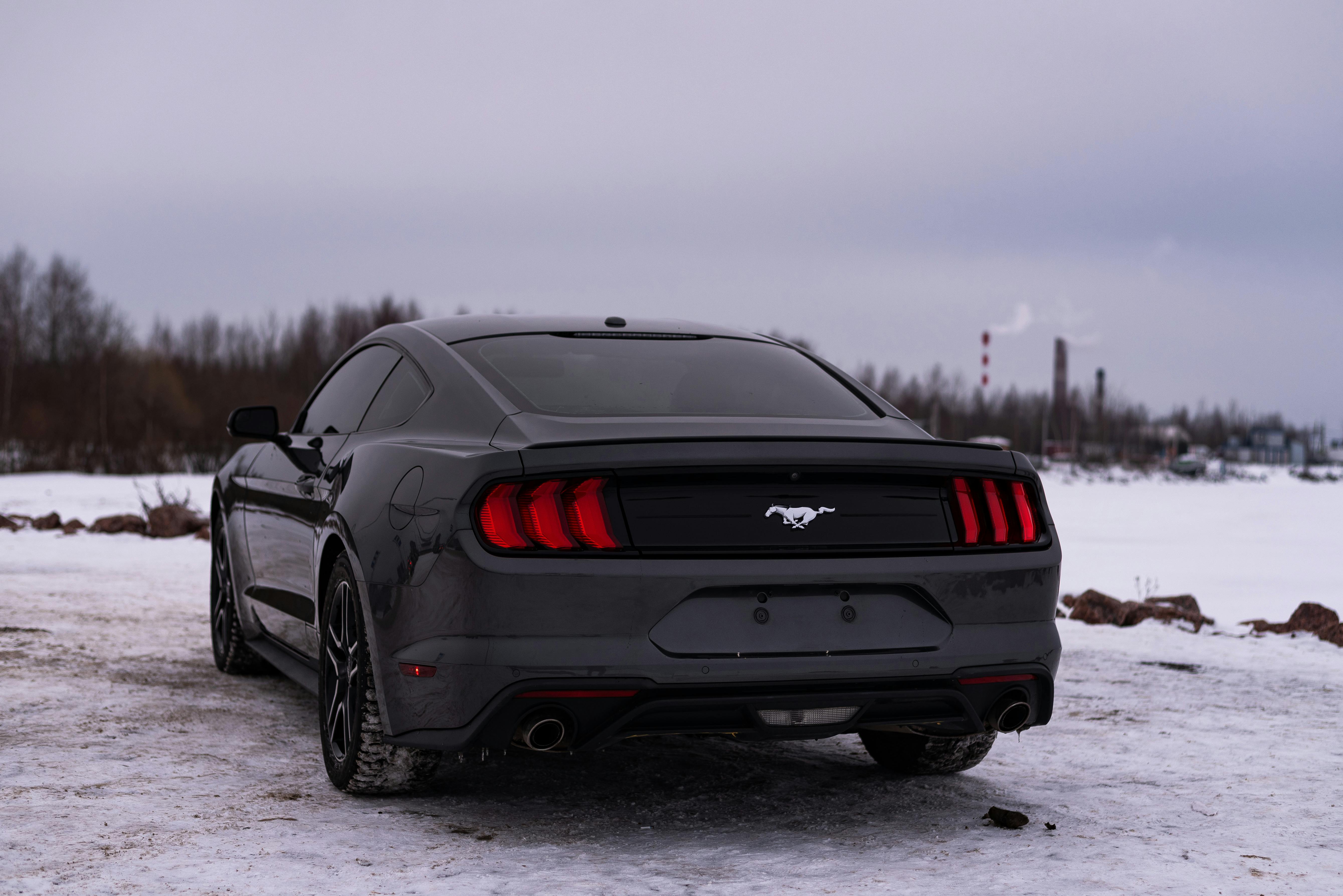 Rear View of a Black Ford Mustang Parked on a Rural Road · Free Stock Photo