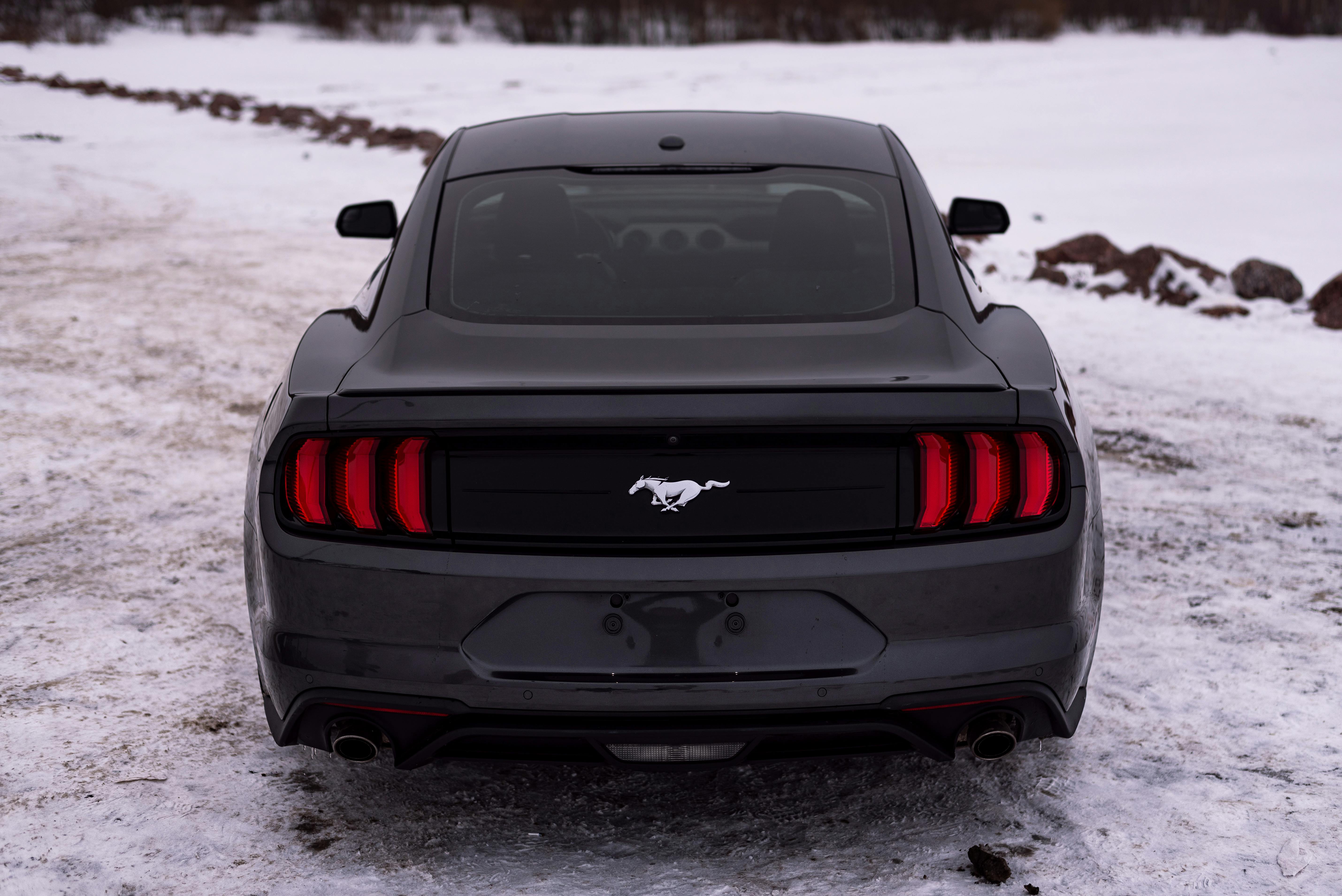 Back of Blue Ford Mustang · Free Stock Photo