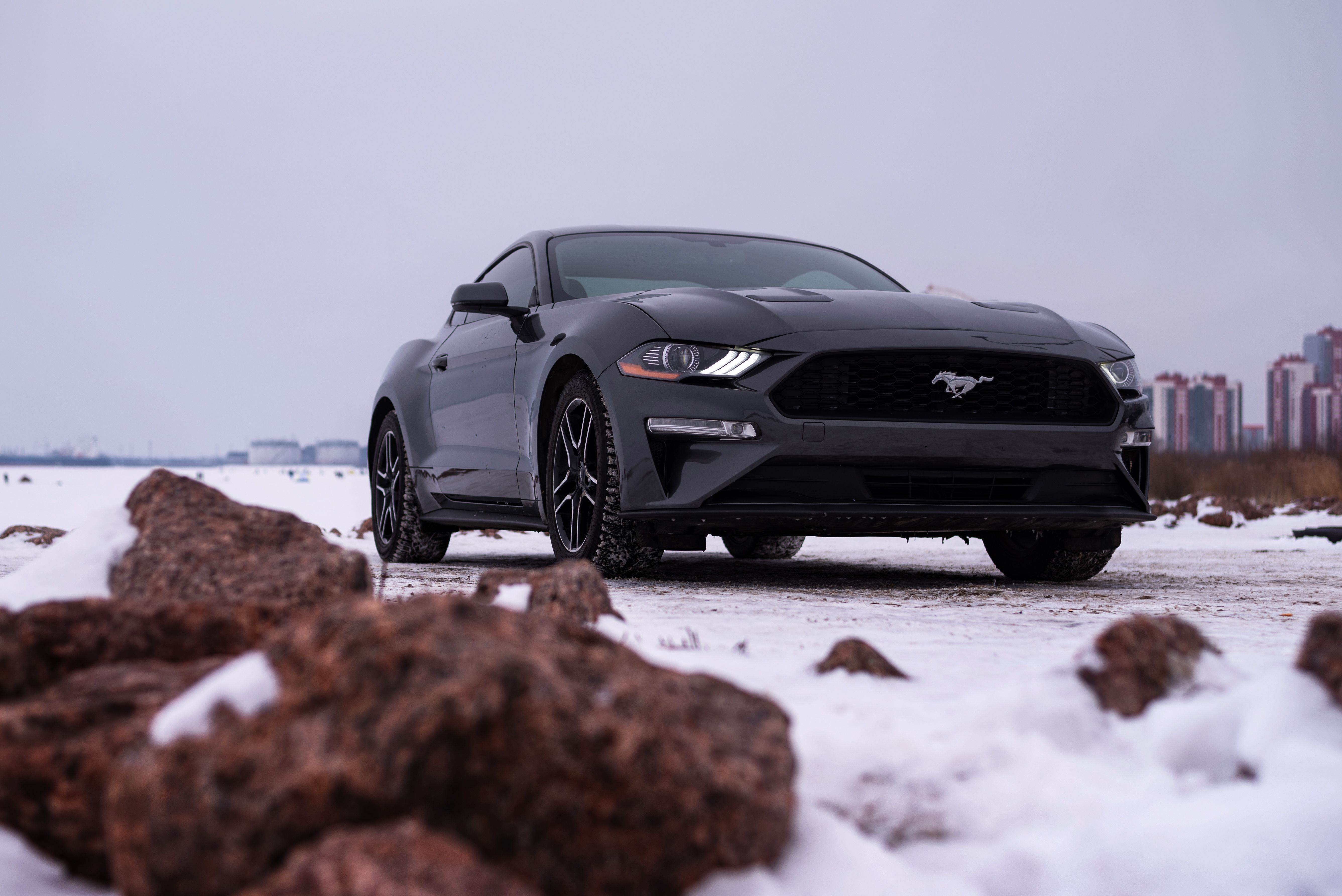 Black Ford Mustang Parked outside a City in Winter · Free Stock Photo