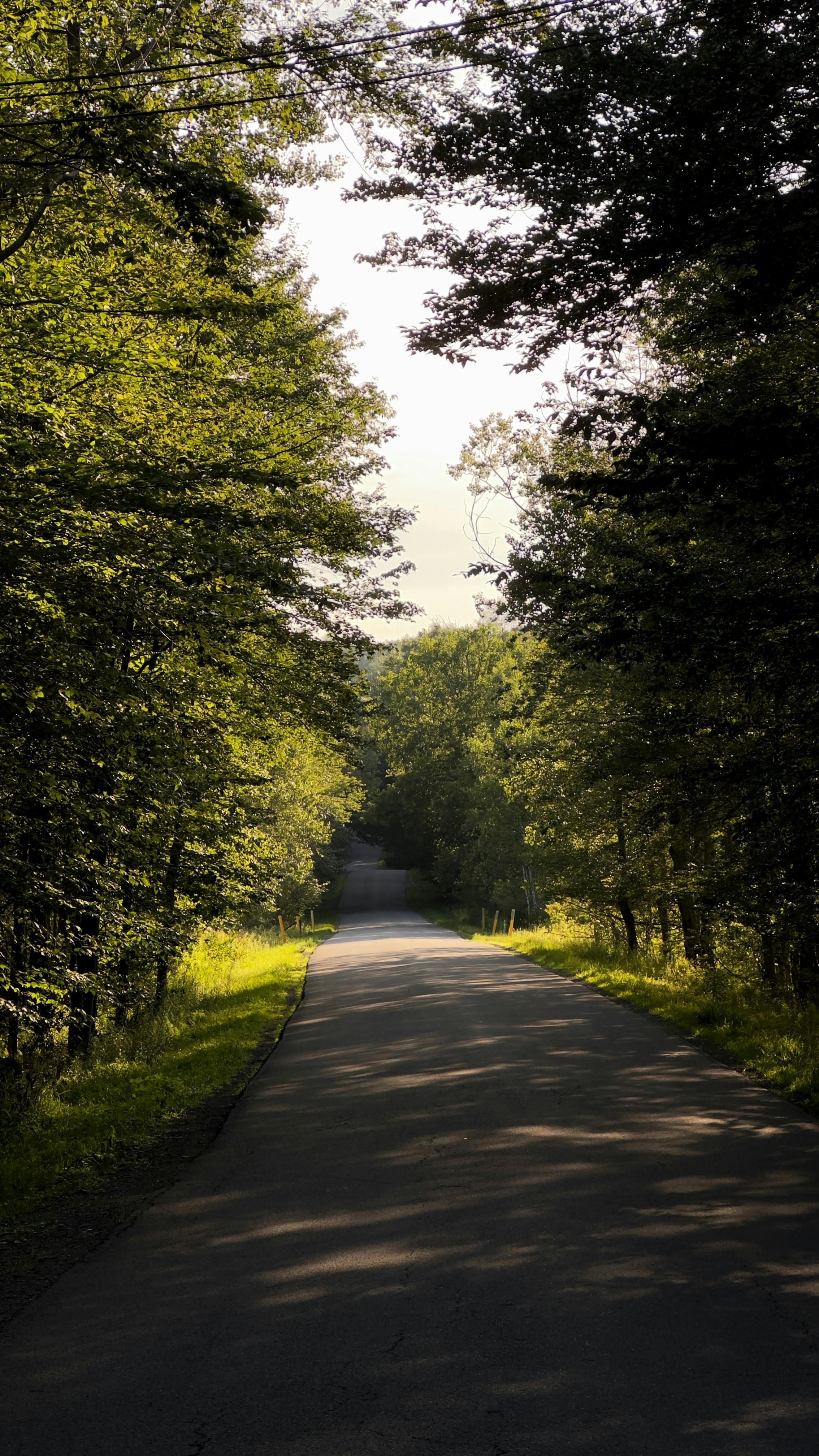 Diminishment Photos, Download The BEST Free Diminishment Stock Photos ...