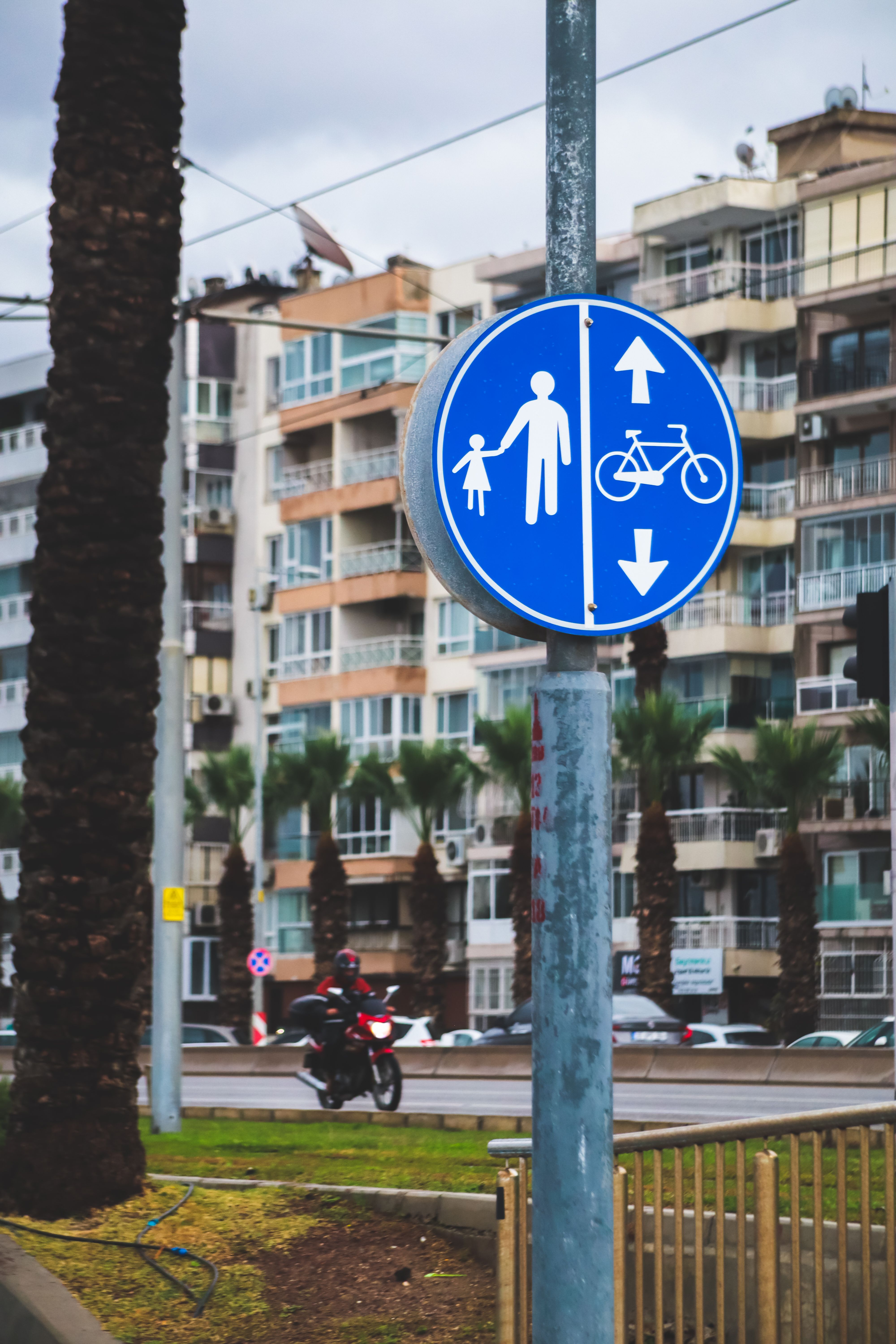Back View of a Person on a Bicycle in City · Free Stock Photo