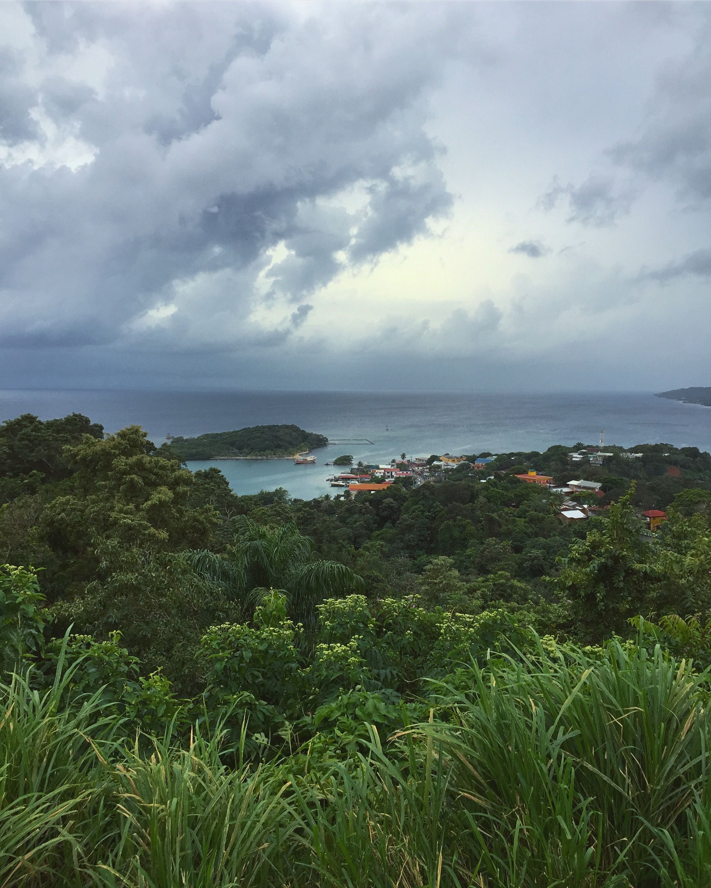 Seaside Town Surrounded by Forest · Free Stock Photo