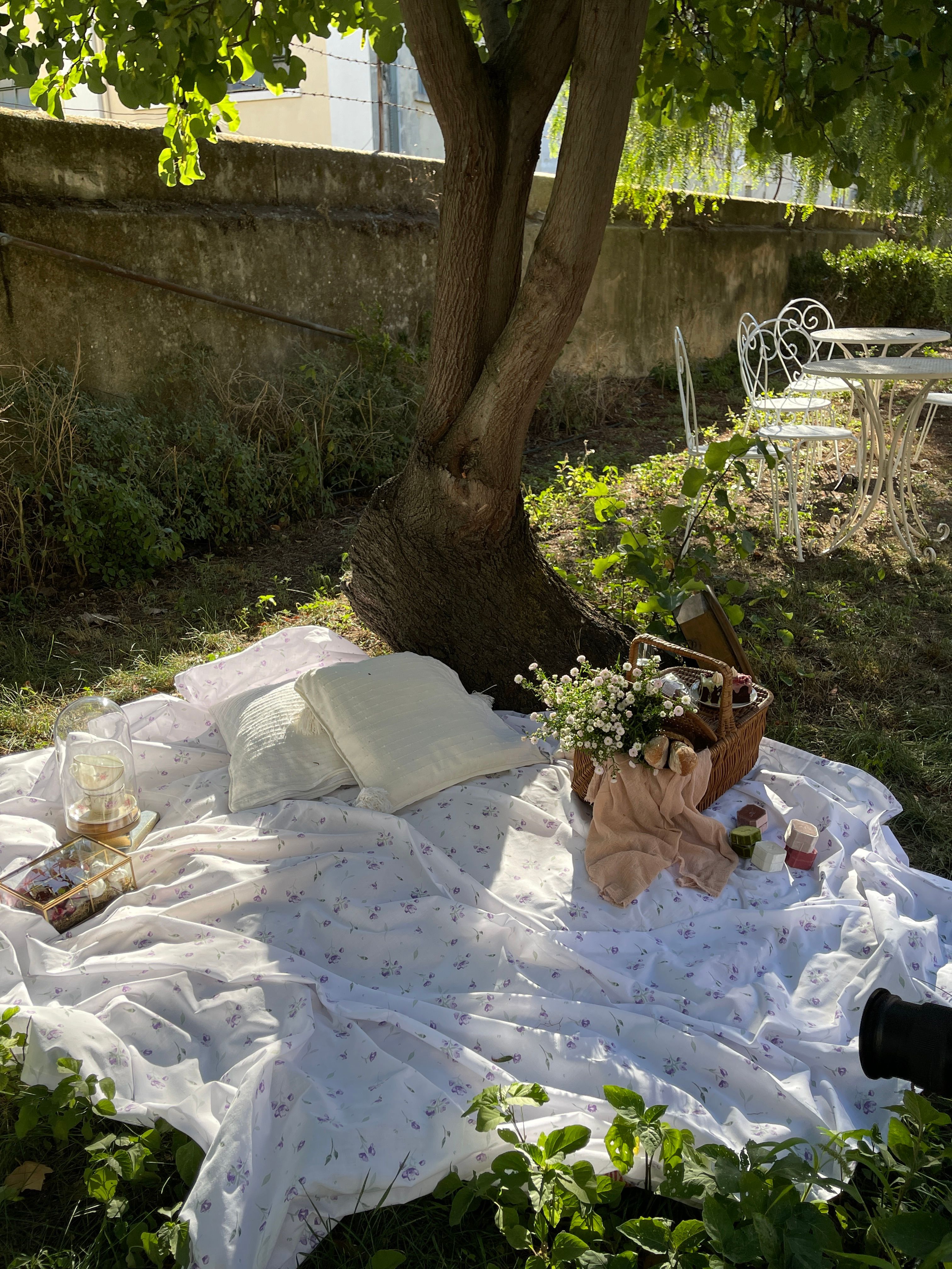 Picnic under Tree · Free Stock Photo
