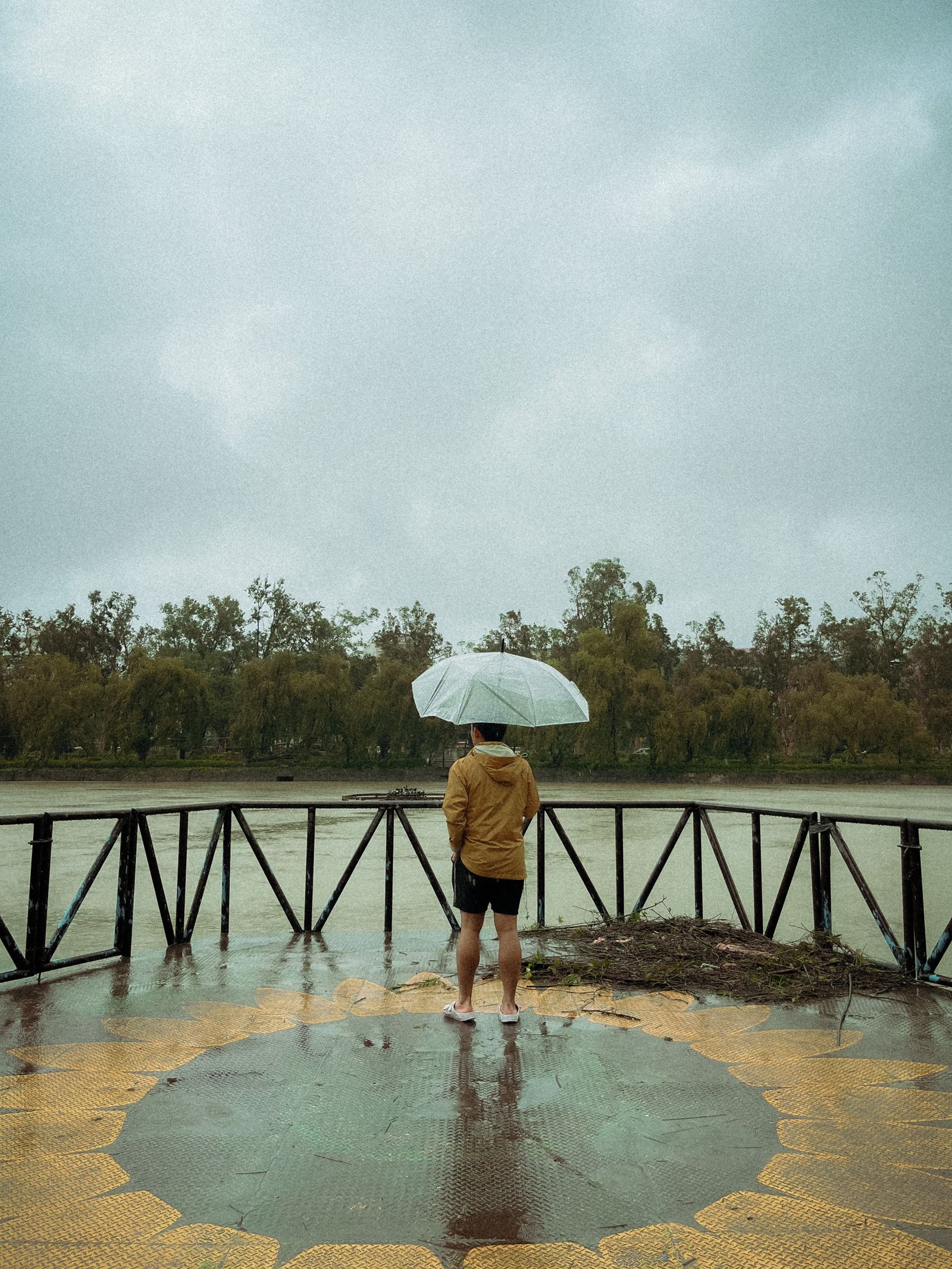 Raining Umbrella Photos, Download The BEST Free Raining Umbrella Stock ...