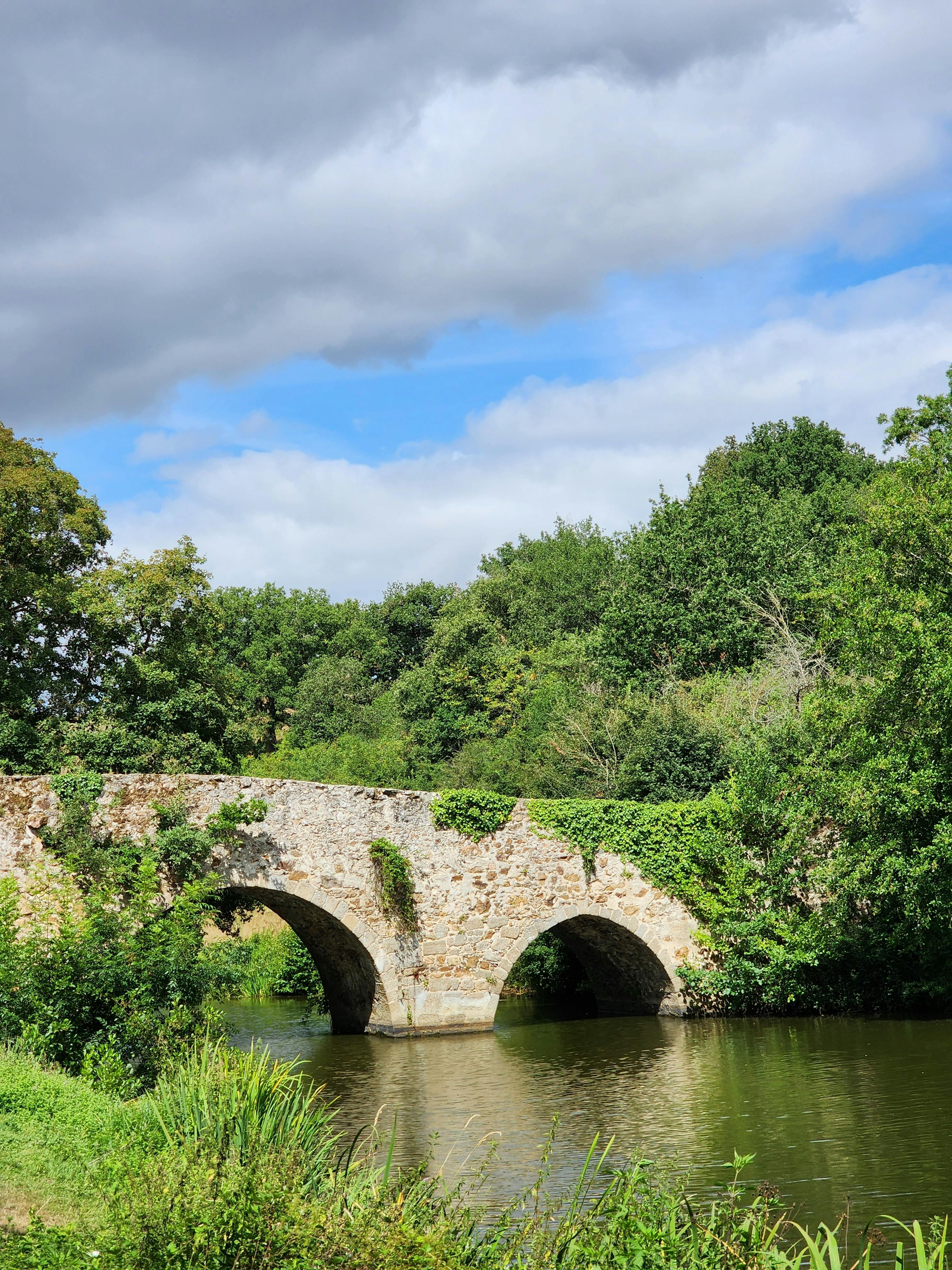 Arched Stone Bridge over River · Free Stock Photo