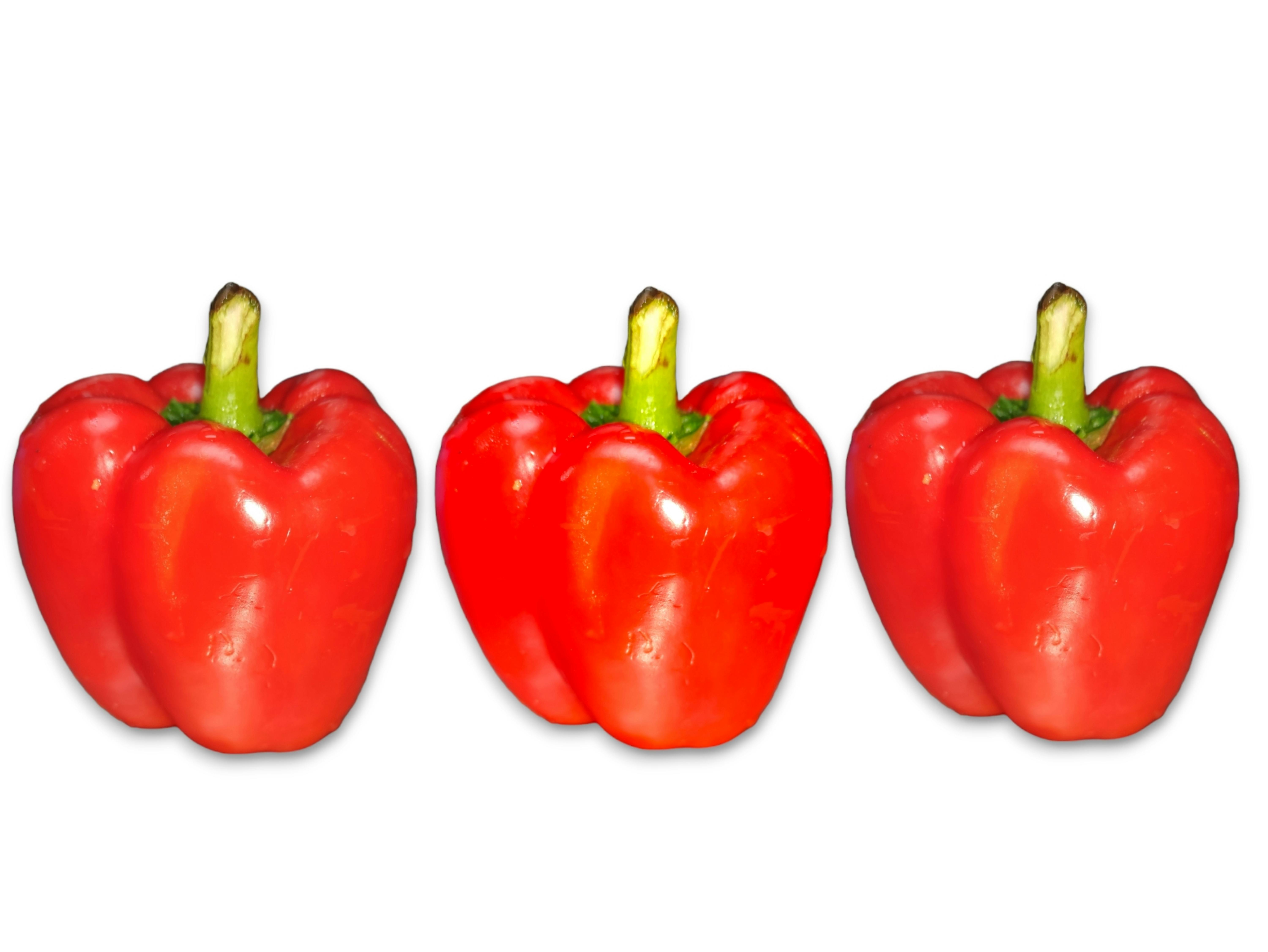 Rasmindo Sitepu - 사진