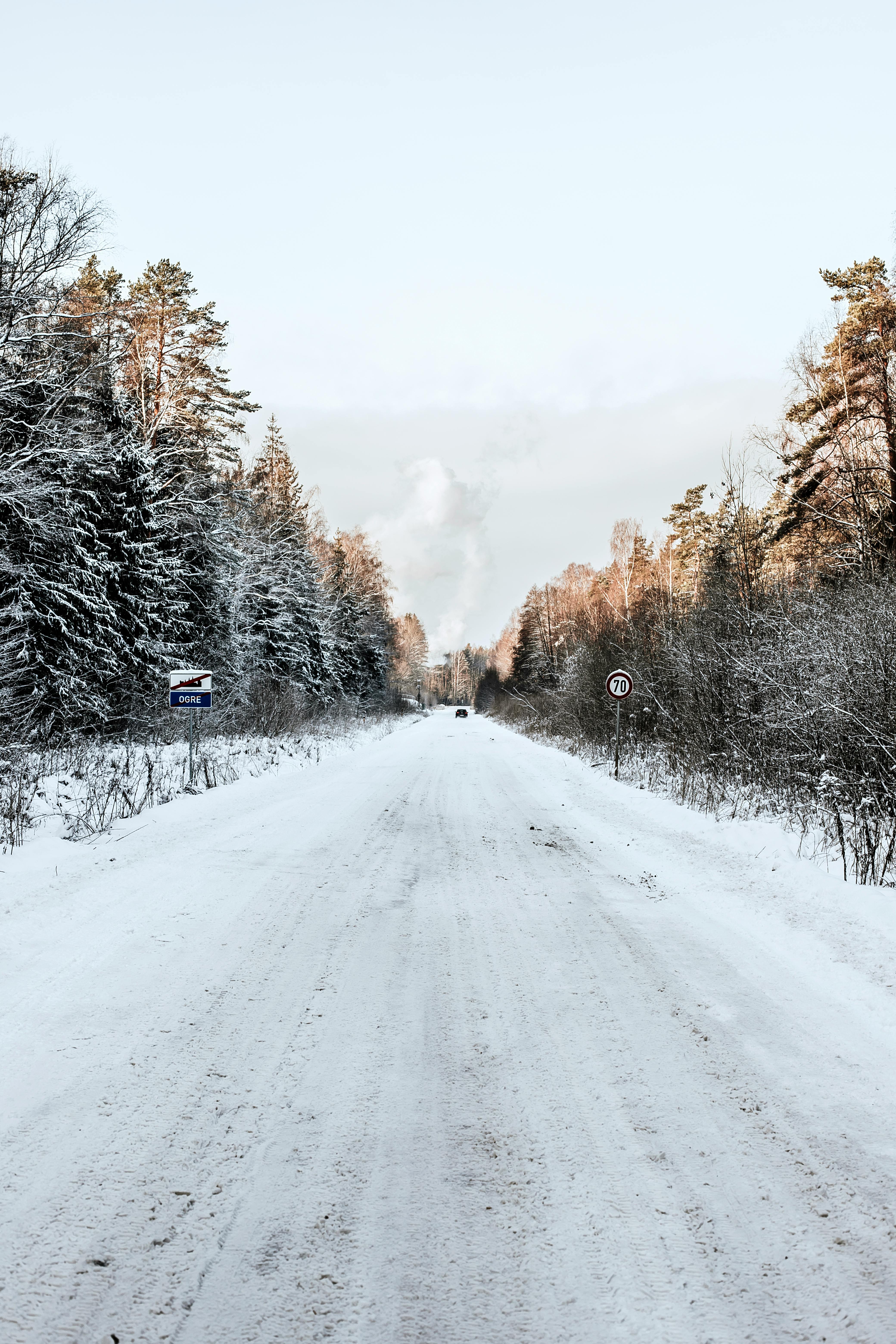 Snow on Road in Forest · Free Stock Photo