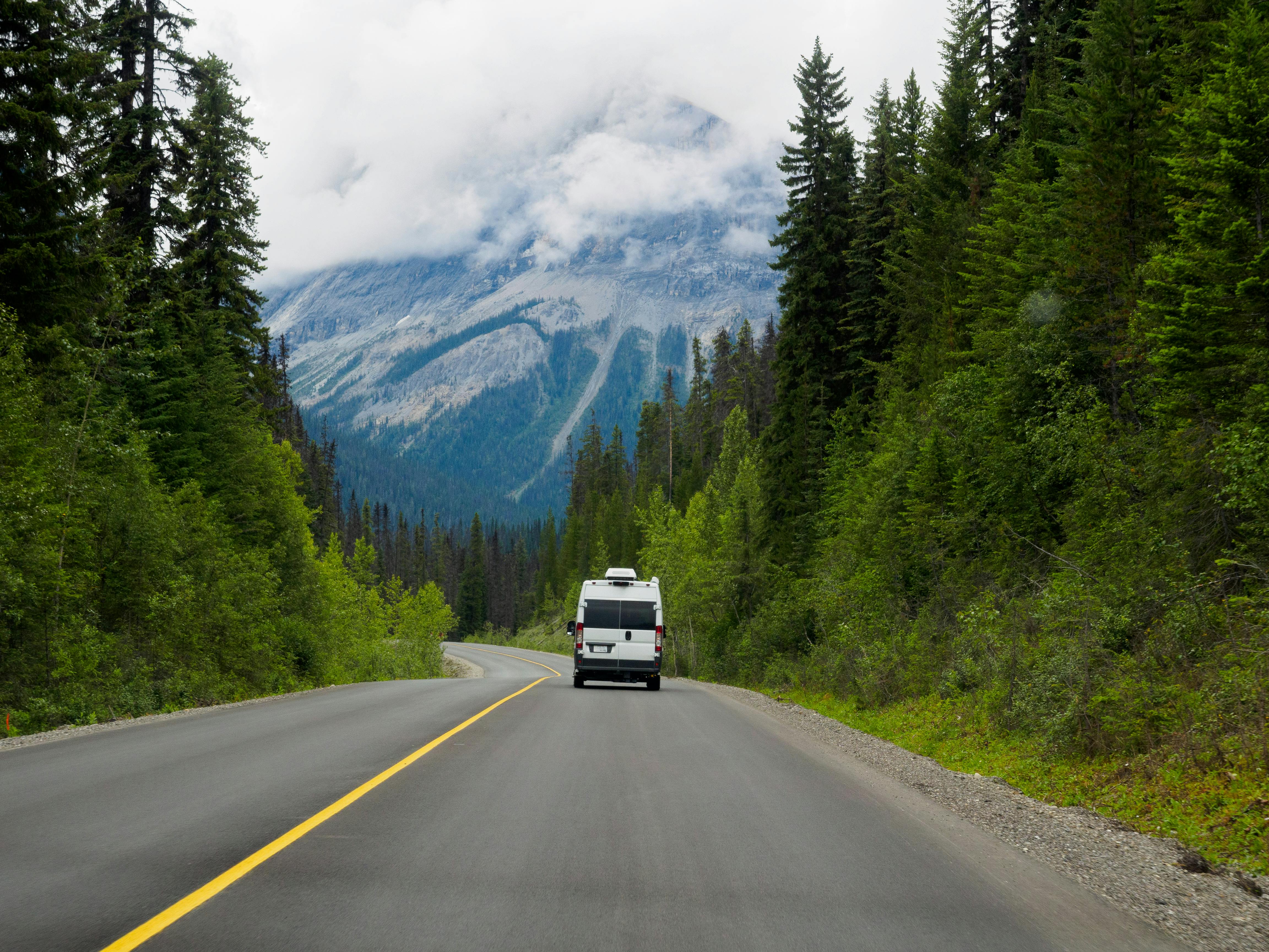 Imagine de stoc gratuită cu altitudine inalta, arbori veșnic verzi ...