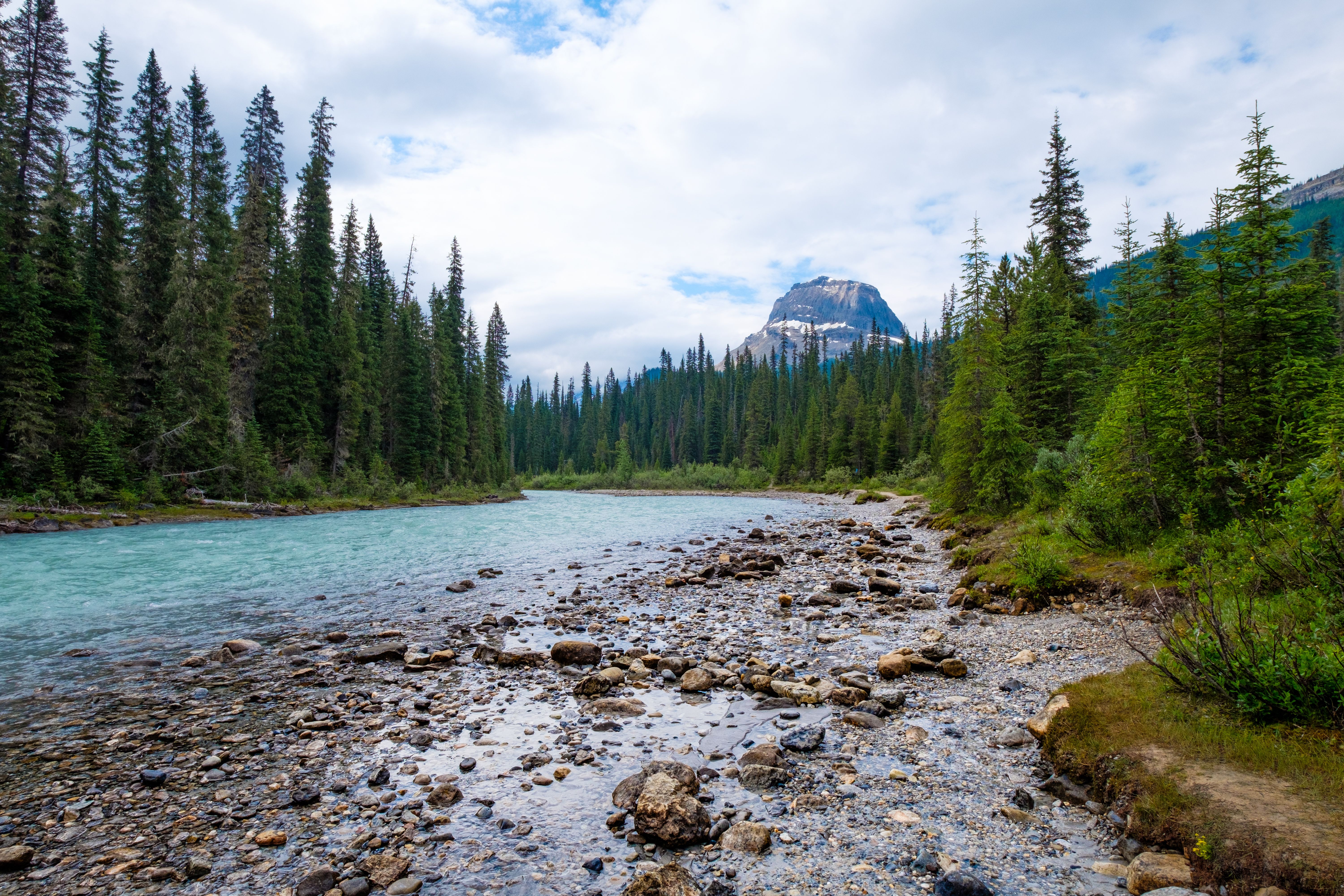 Curve River and Mountain in Background · Free Stock Photo
