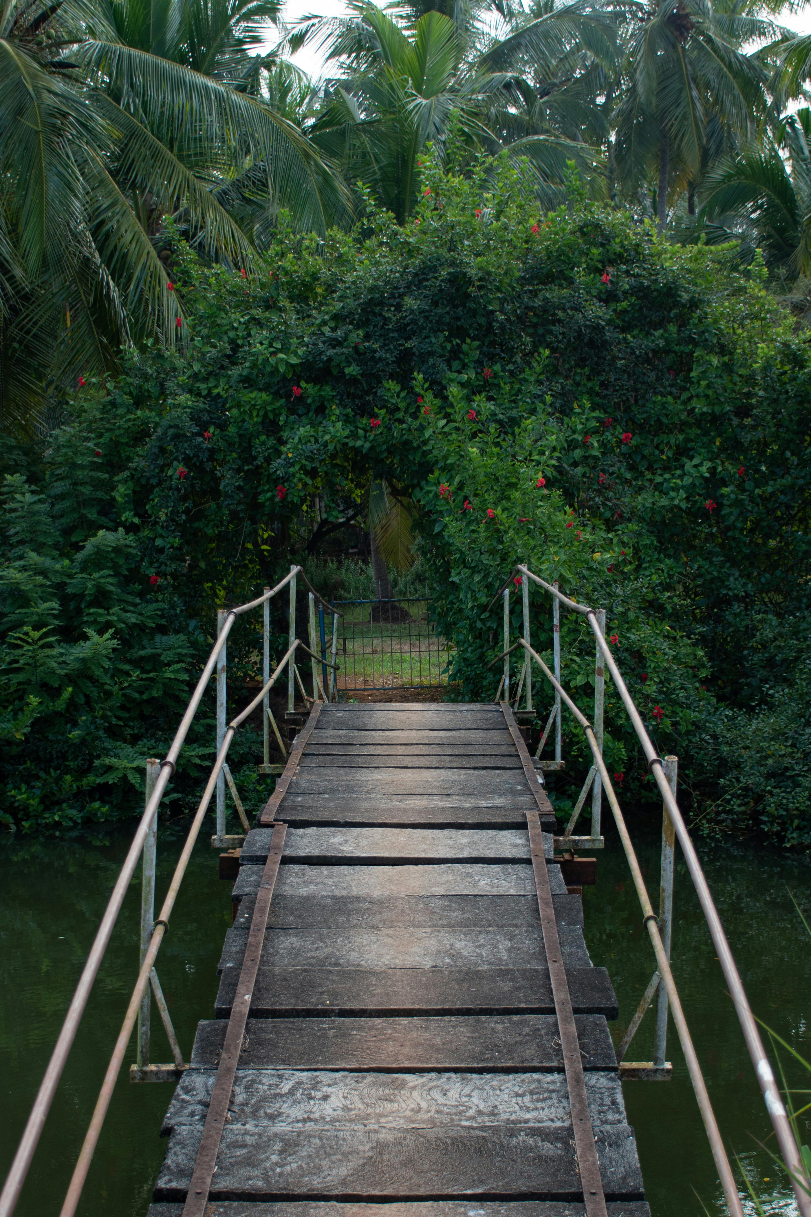 Wooden Footbridge with Railing · Free Stock Photo