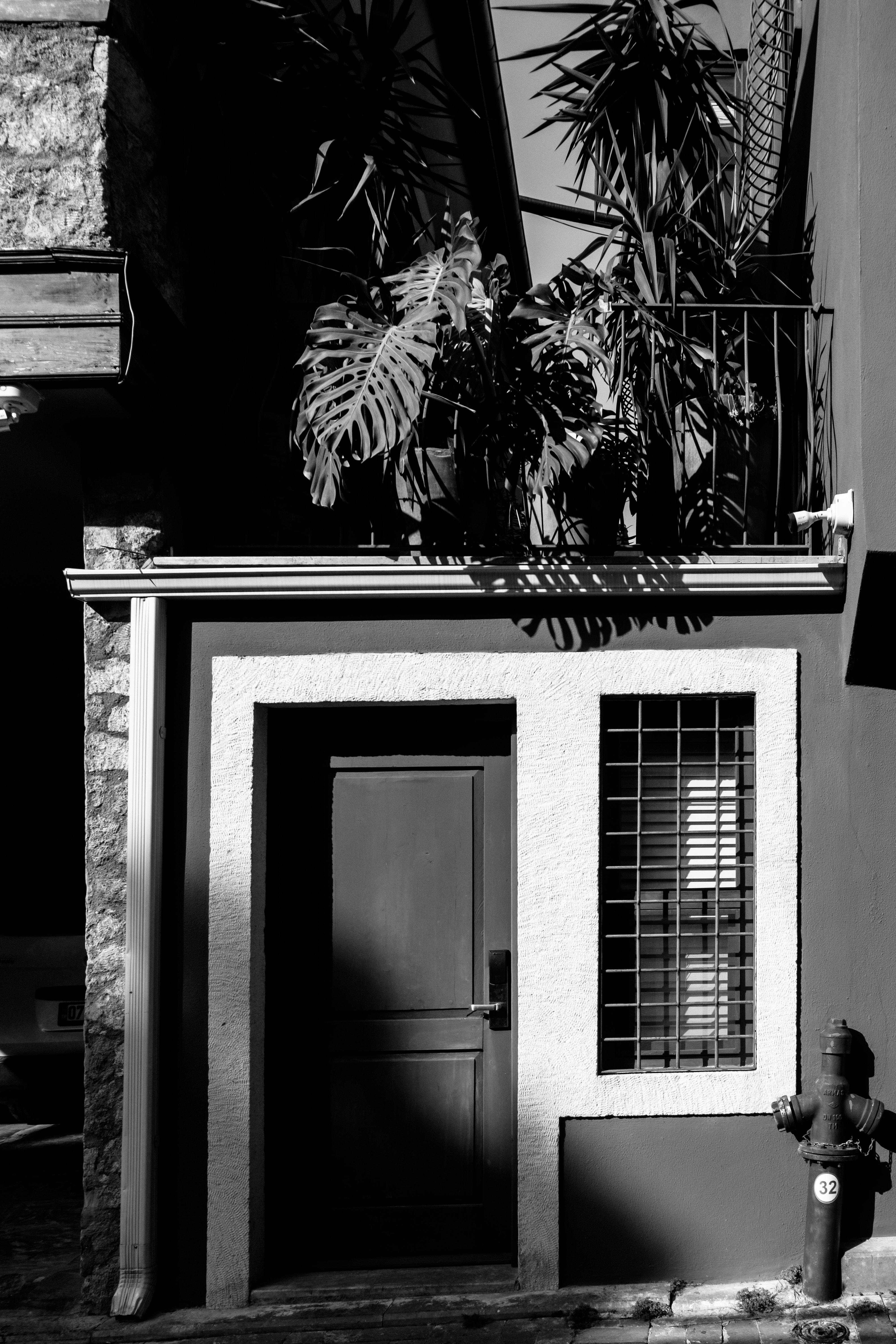 Monstera Plant over Building Door · Free Stock Photo