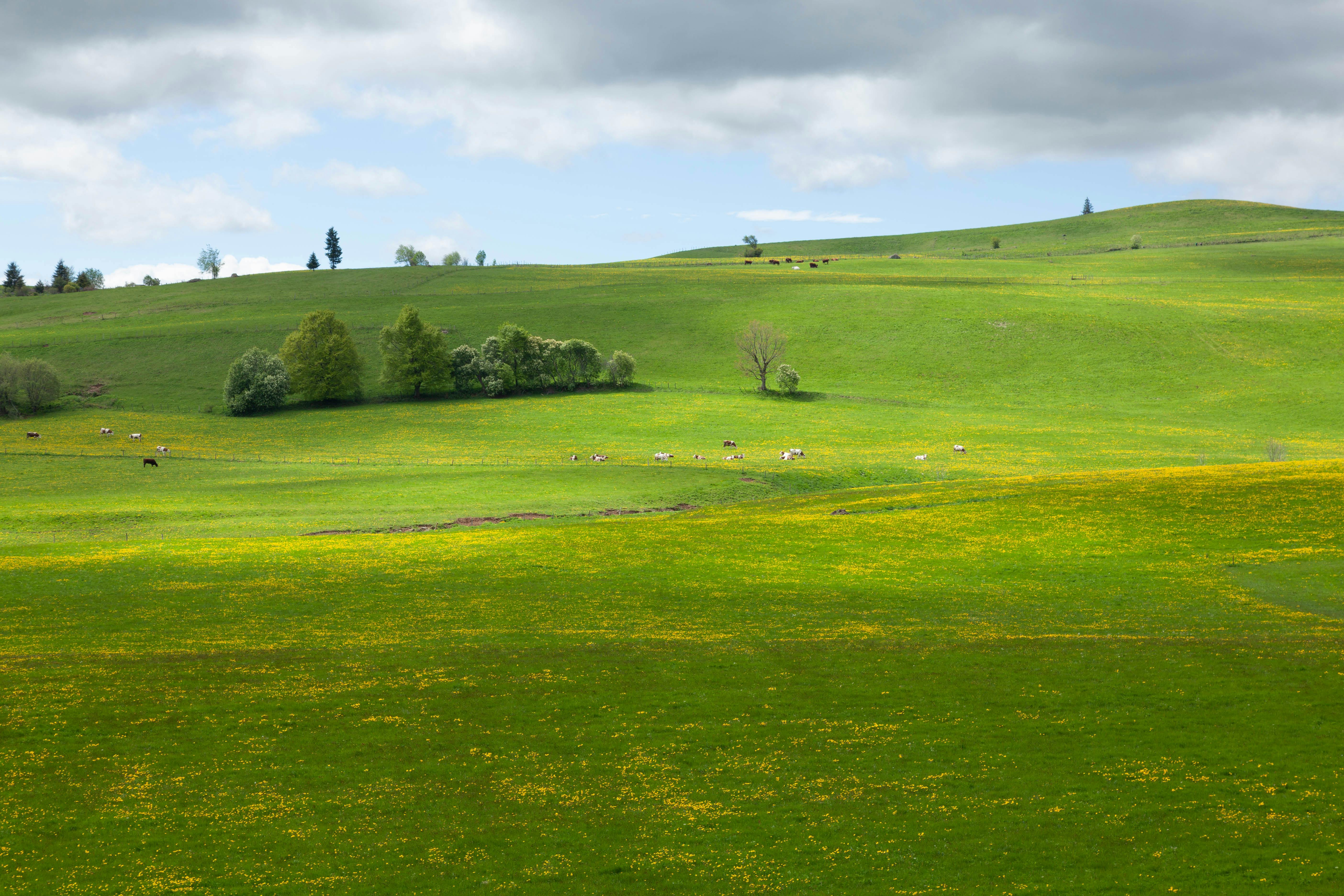 Free stock photo of agriculture, auvergne, ballad, calm, cloudy, country, countryside, farmland ...