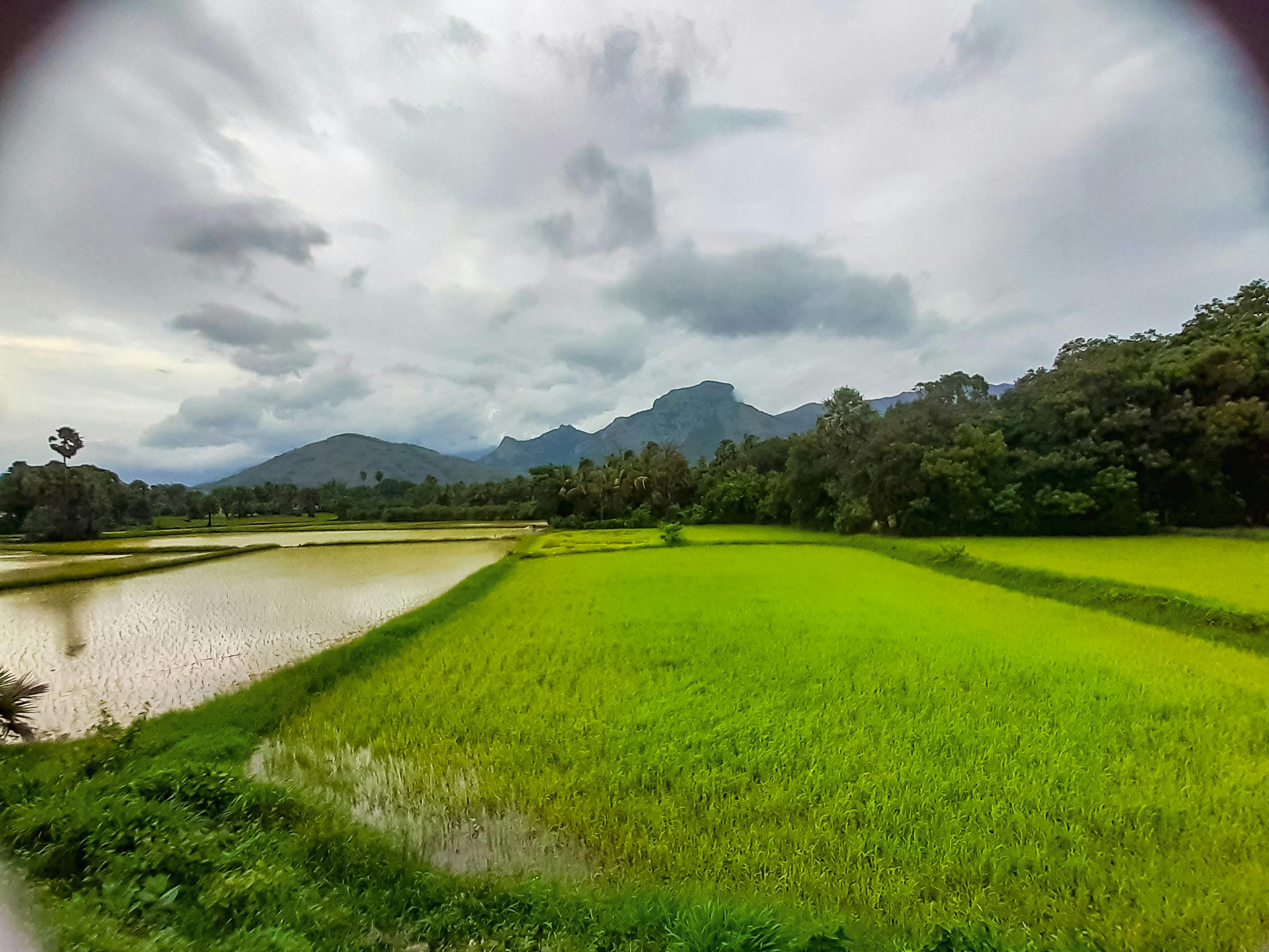 Mathan Kumar - 写真