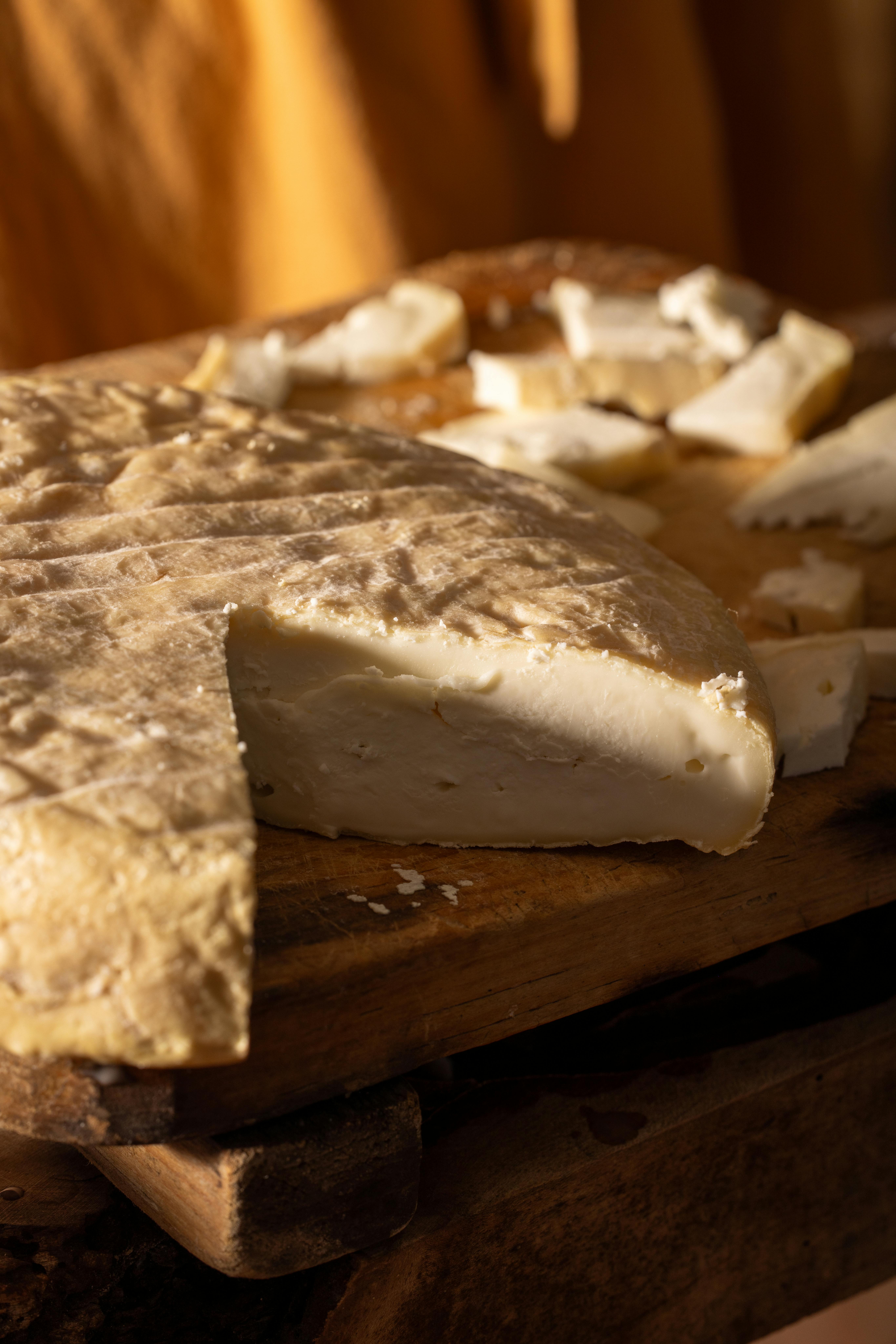 Close-Up Photo Of Cheese · Free Stock Photo
