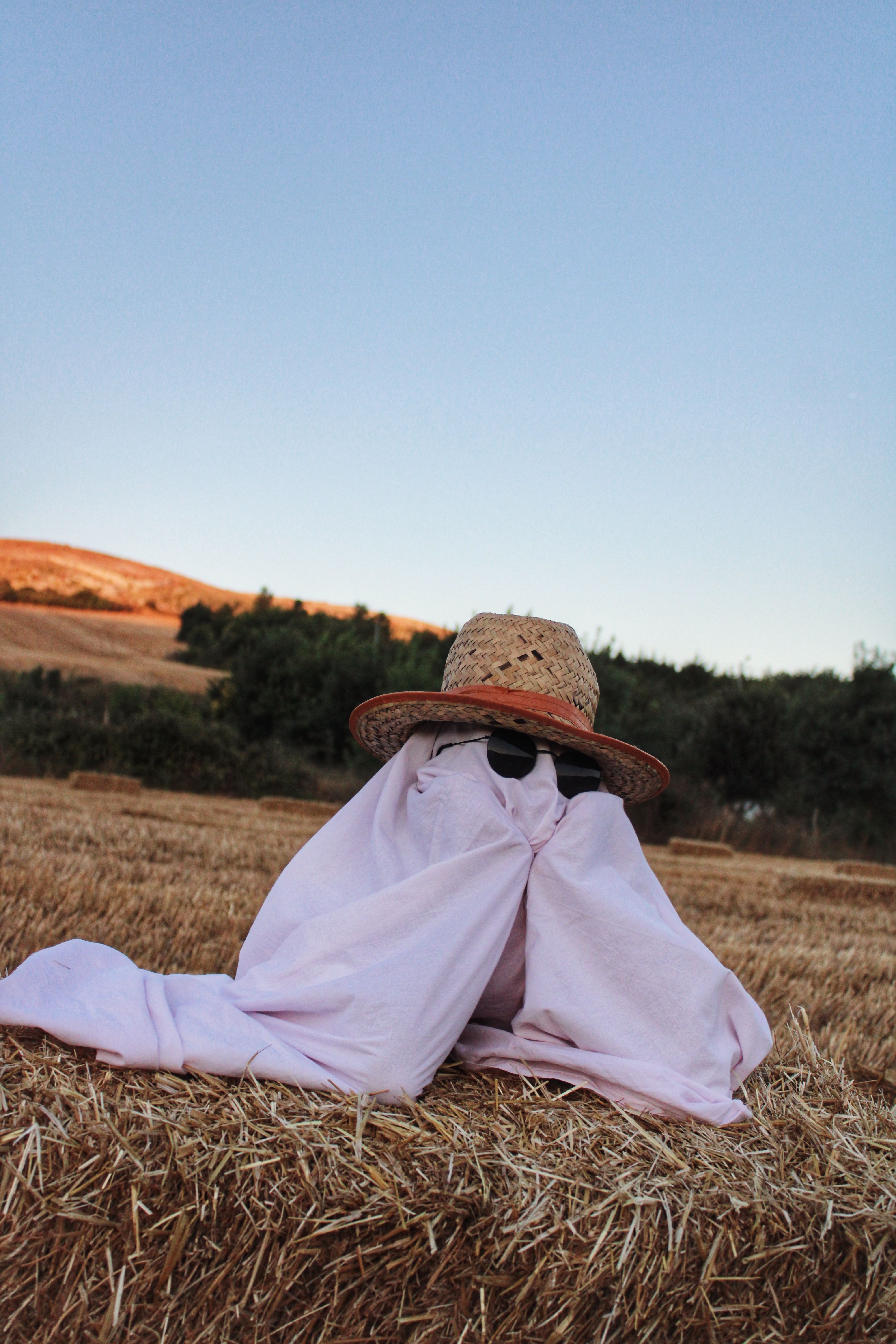 Scarecrow Hay Photos, Download The BEST Free Scarecrow Hay Stock Photos ...