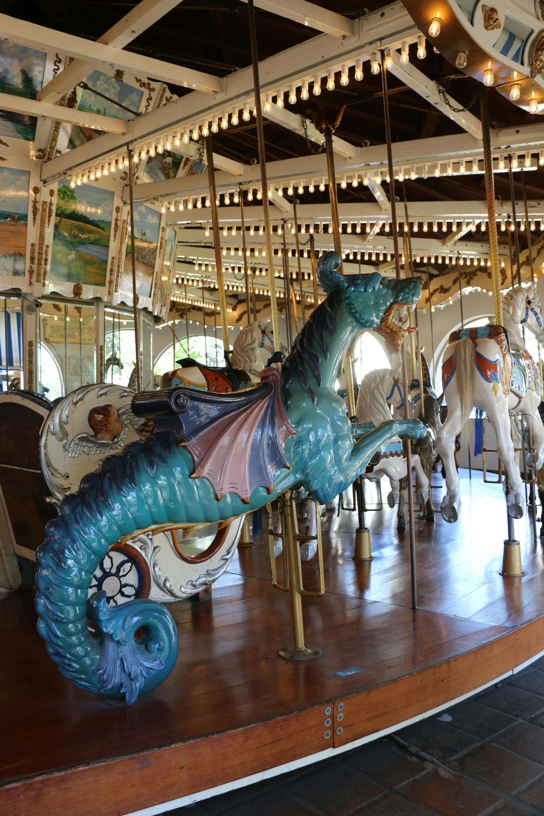 Jennifer Correia - Photography