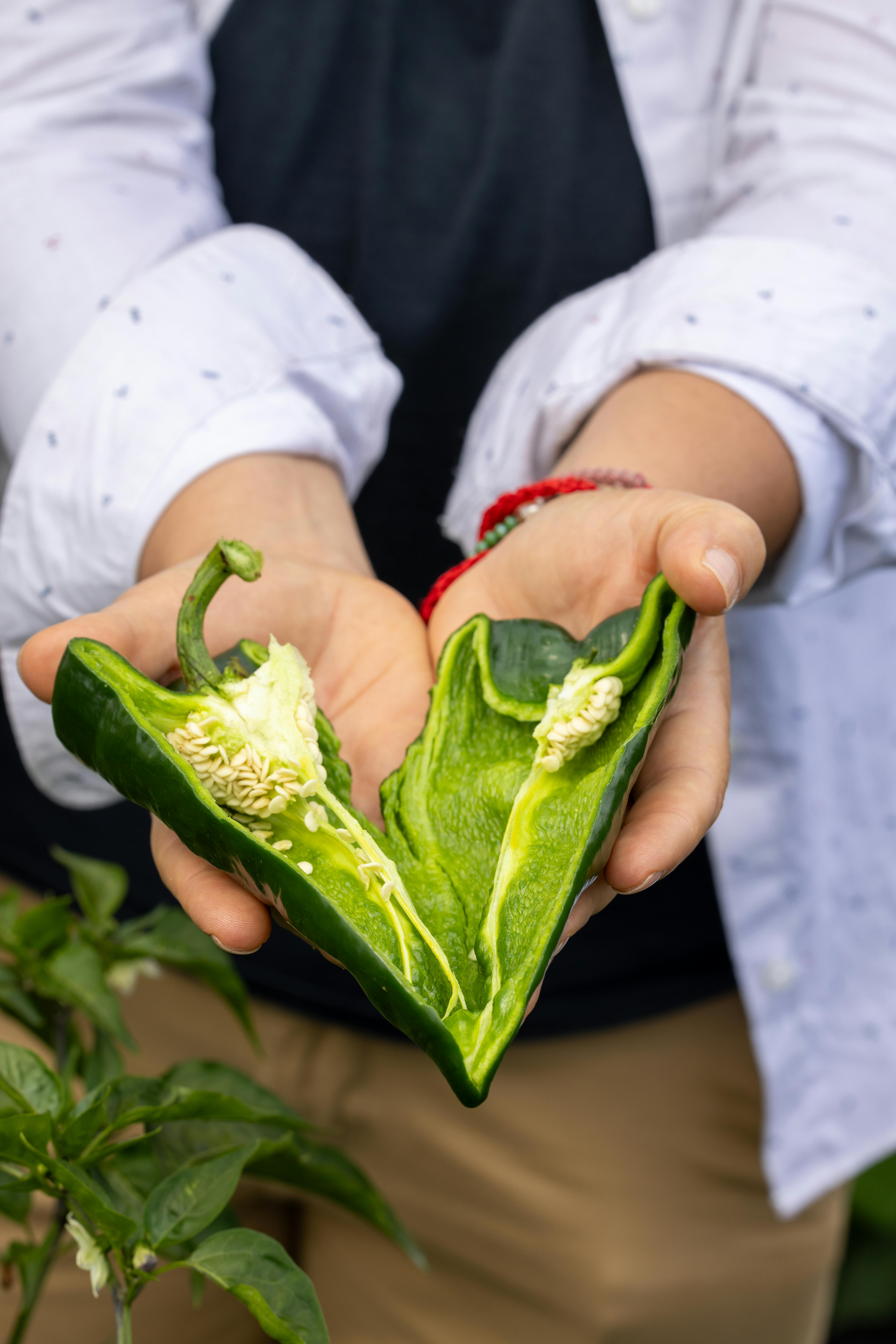 Hands Holding Pepper Halves · Free Stock Photo