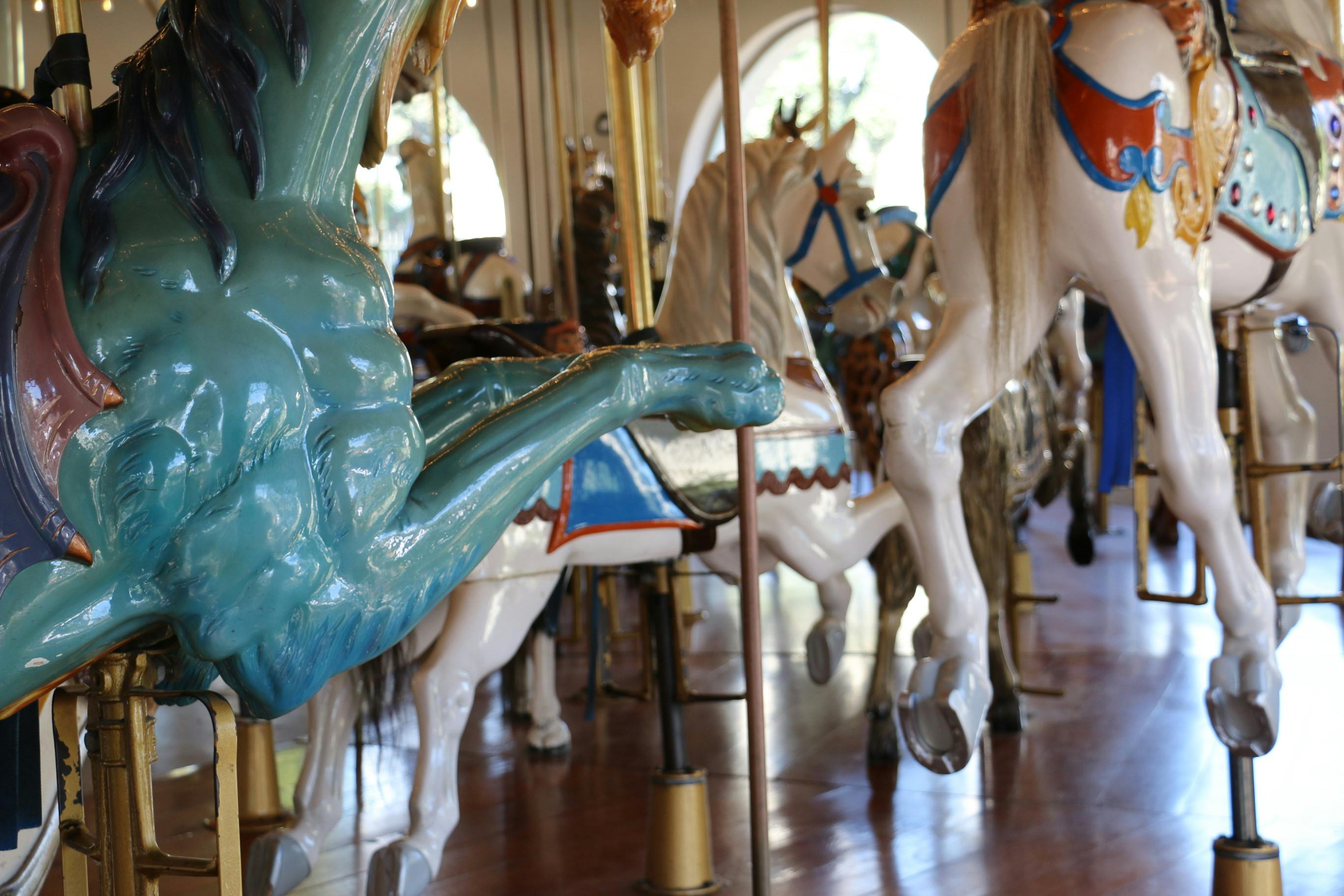 Jennifer Correia - Fotografía