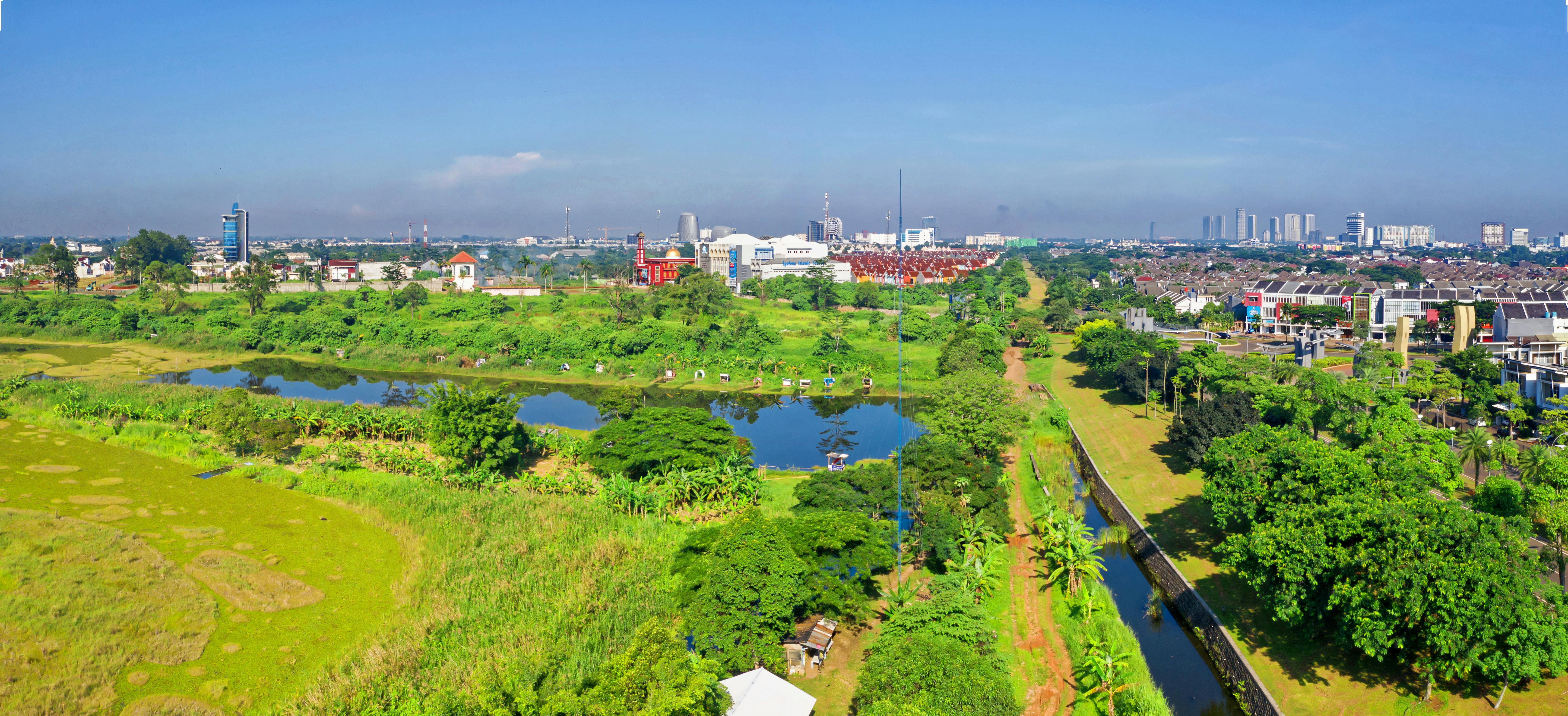 Trees Near Ocean · Free Stock Photo
