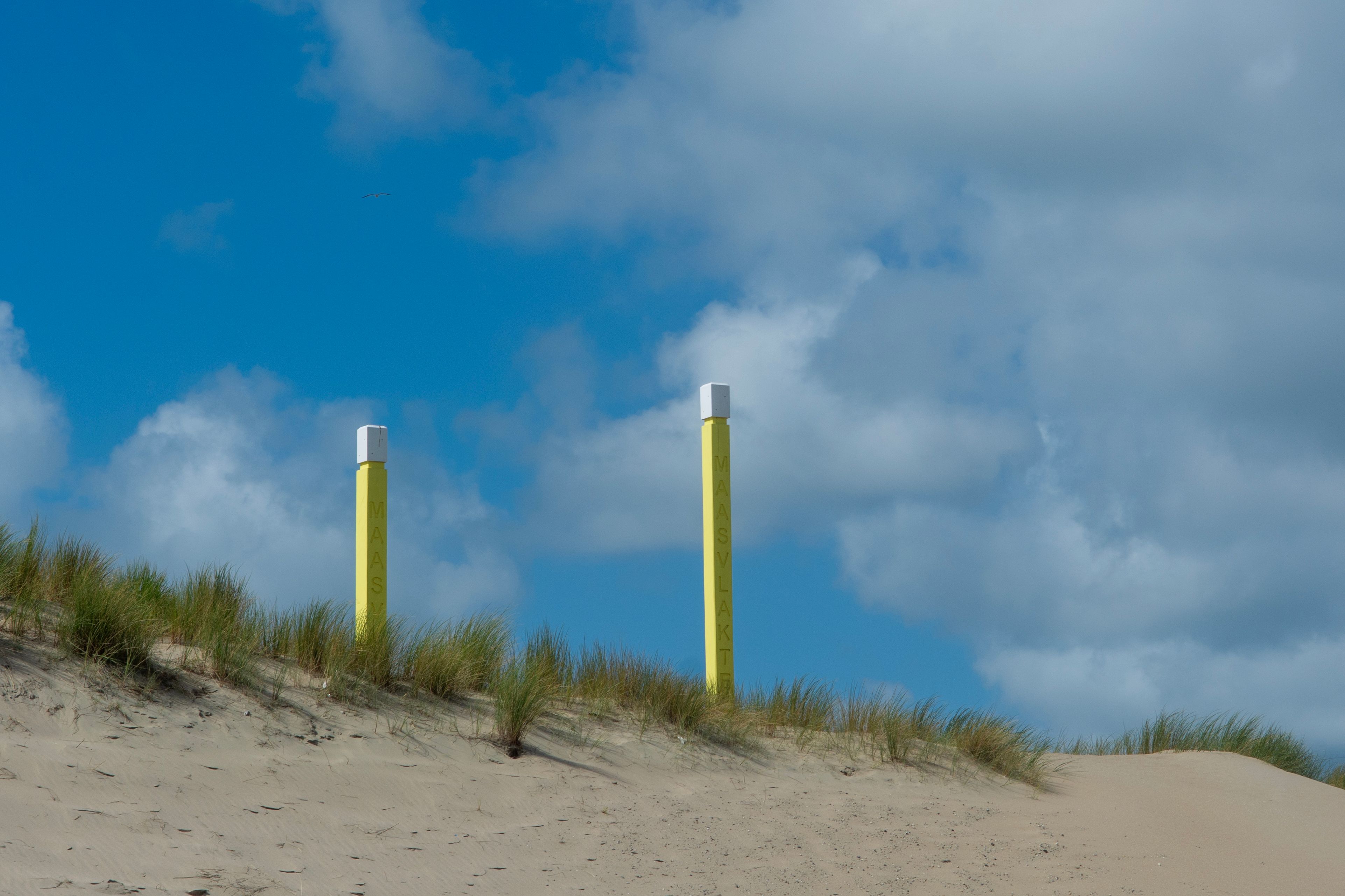 Yellow Posts Photos, Download The BEST Free Yellow Posts Stock Photos ...