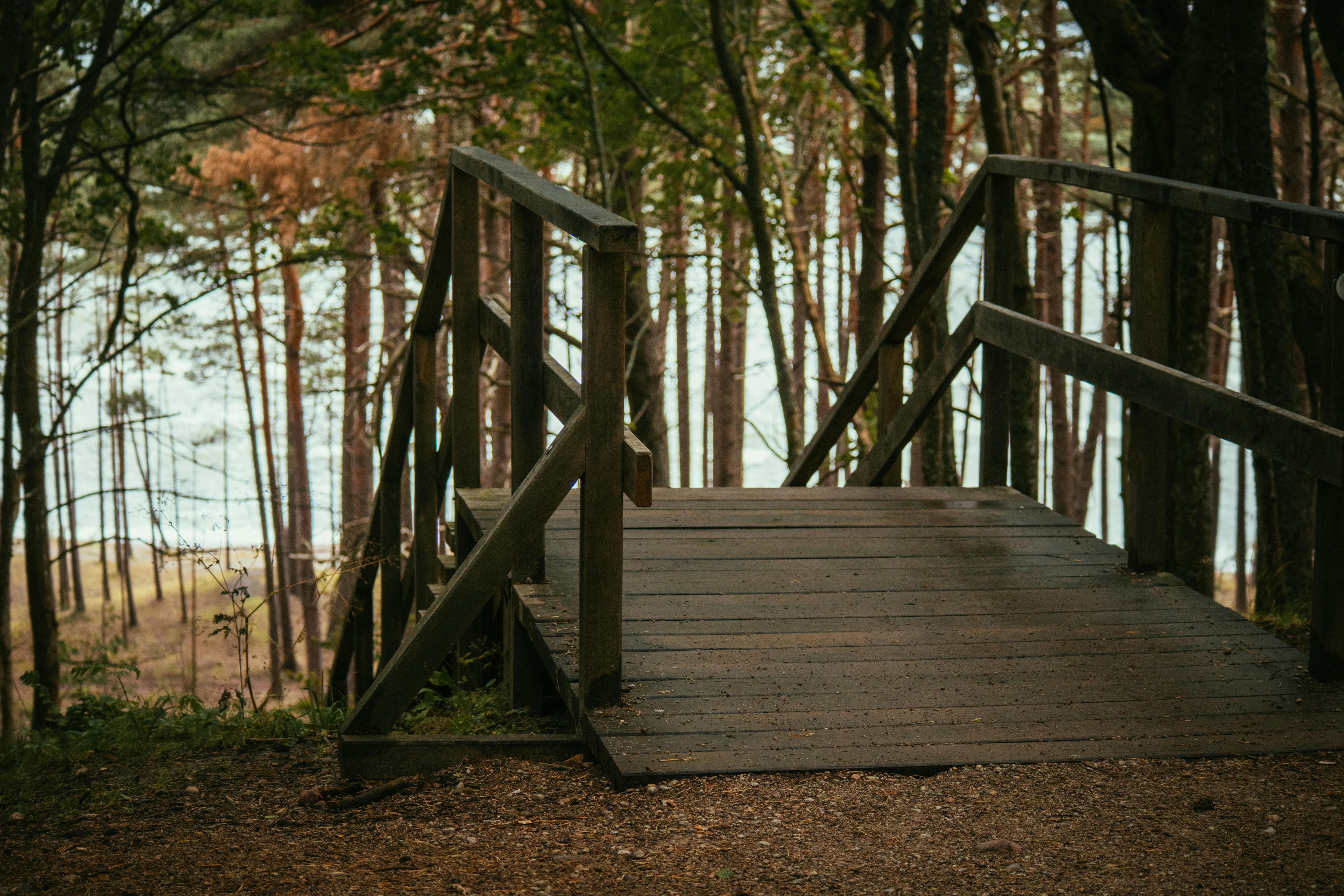 Brown Wooden Bridge Between Trees · Free Stock Photo