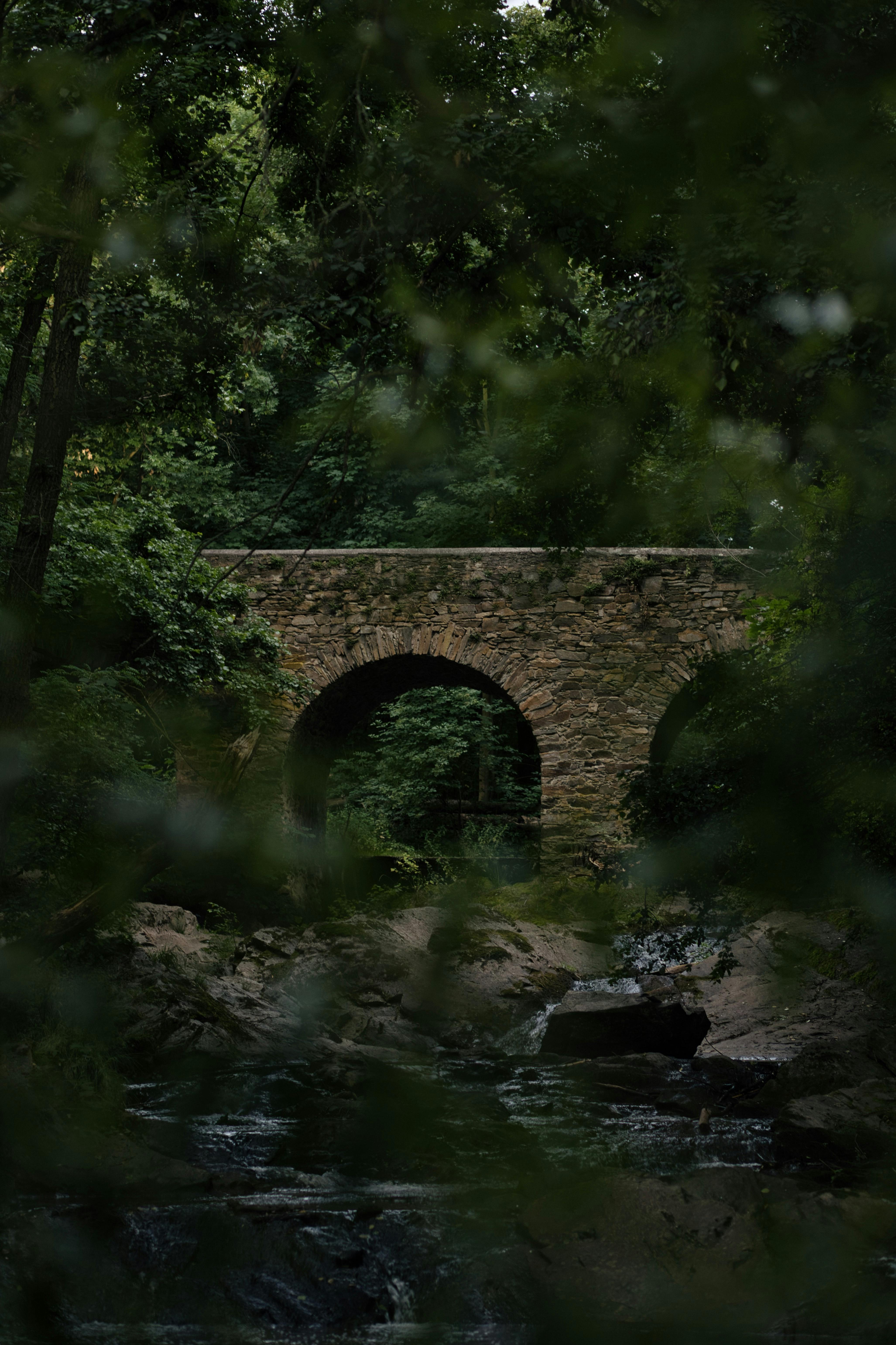 Arch Stone Bridge in Forest · Free Stock Photo