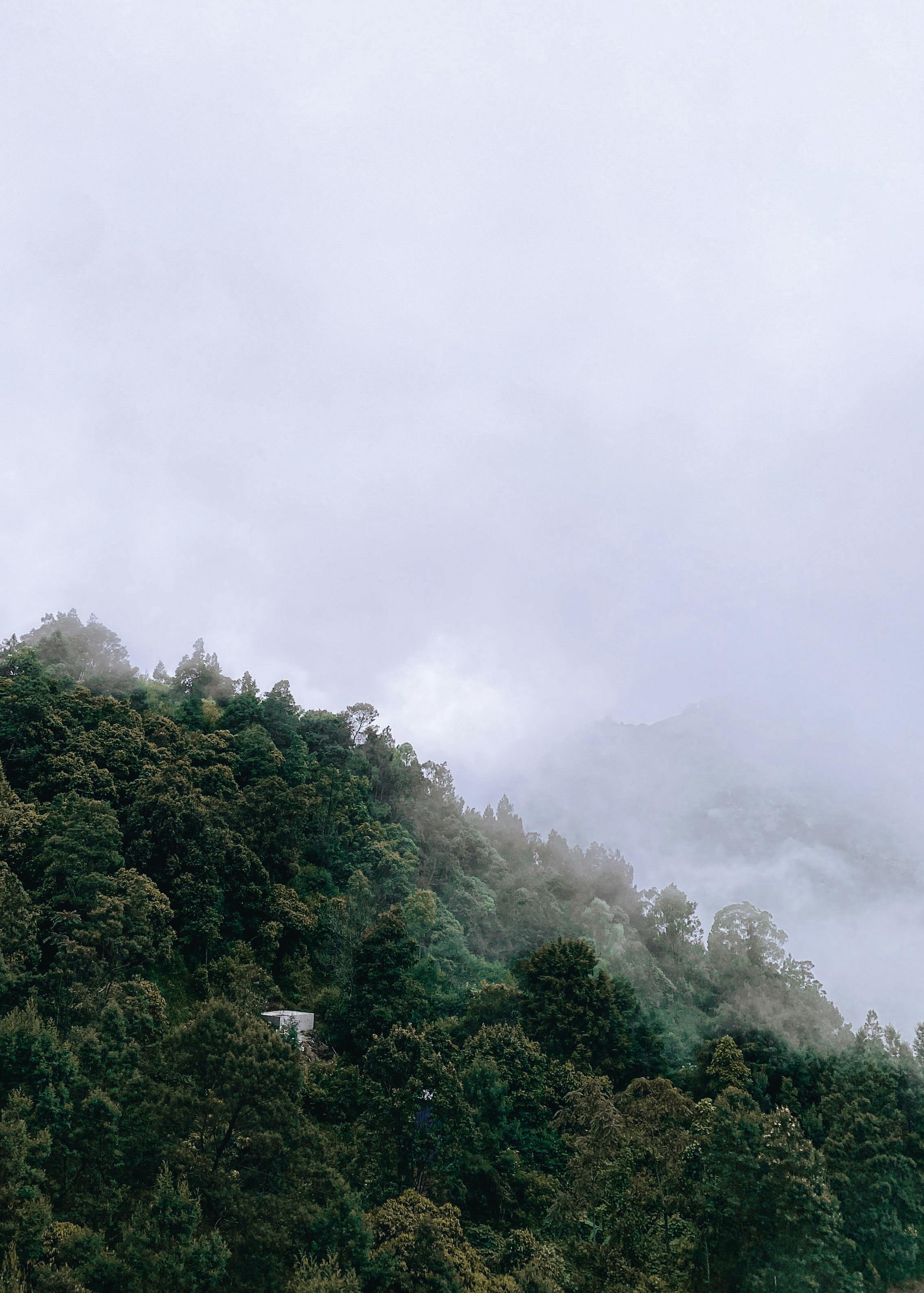 Try Putro Utomo - 摄影