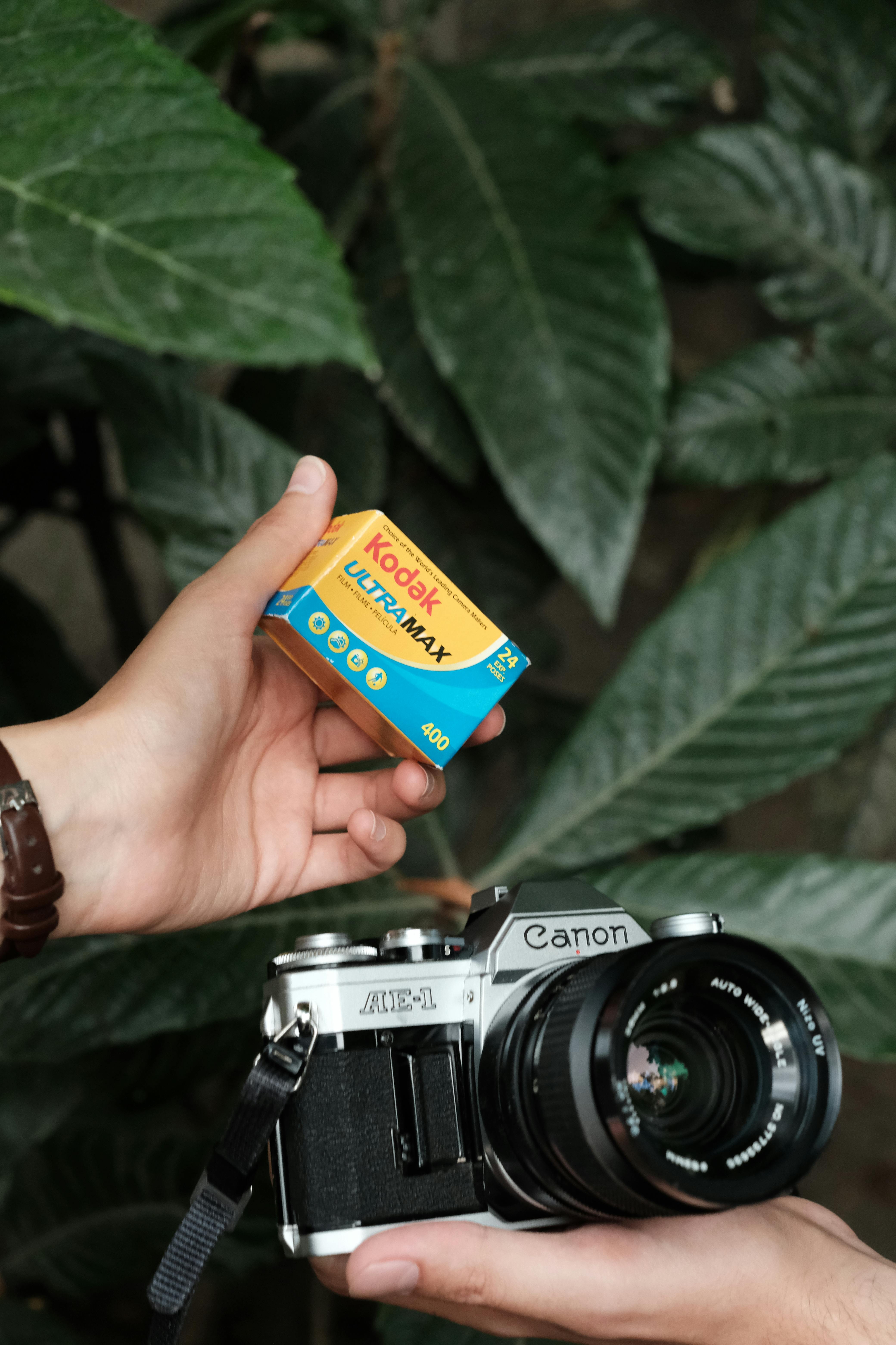 Film Animation Photos, Download The BEST Free Film Animation Stock ...