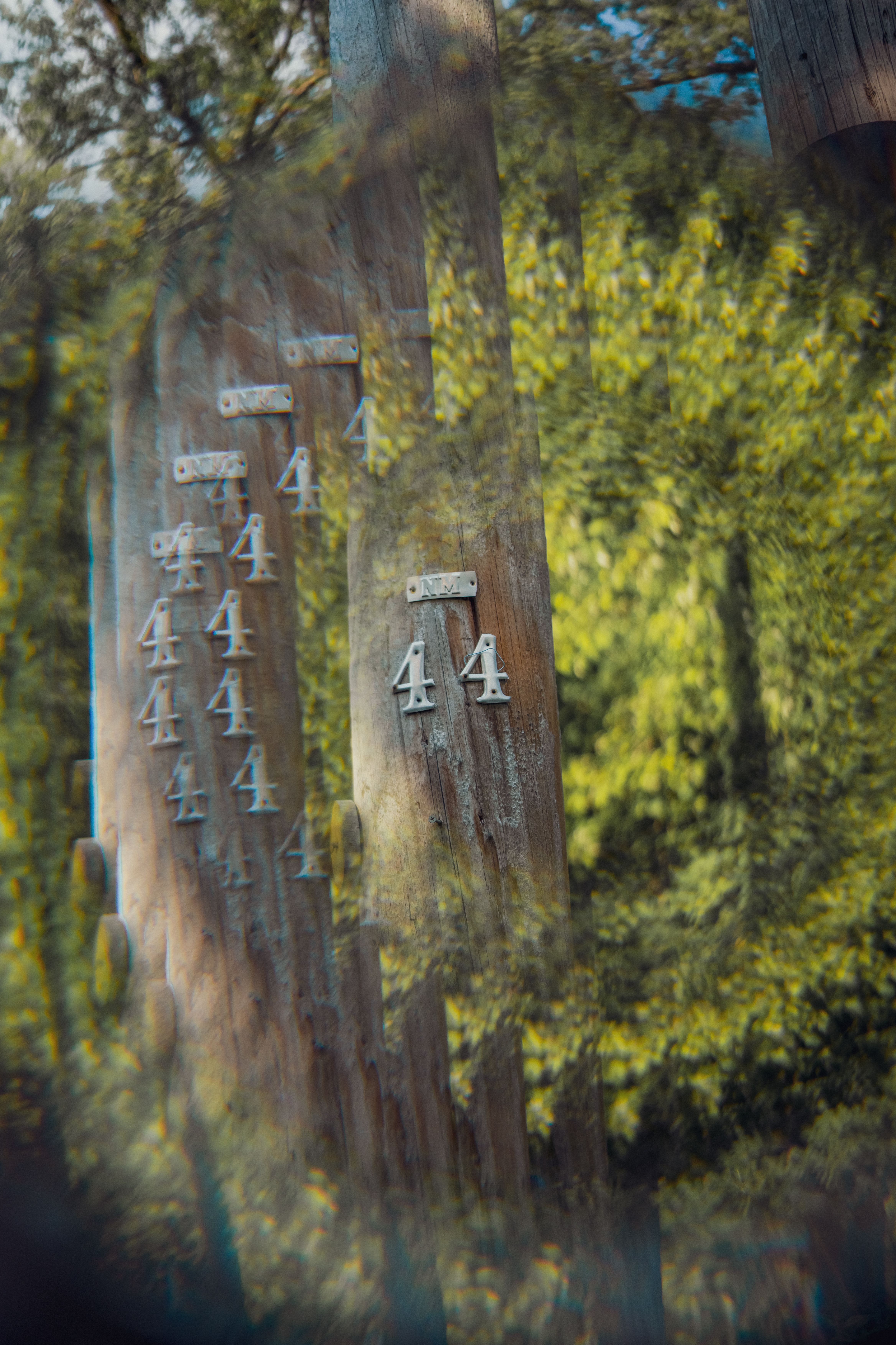 Number 44 Photos, Download The BEST Free Number 44 Stock Photos & HD Images