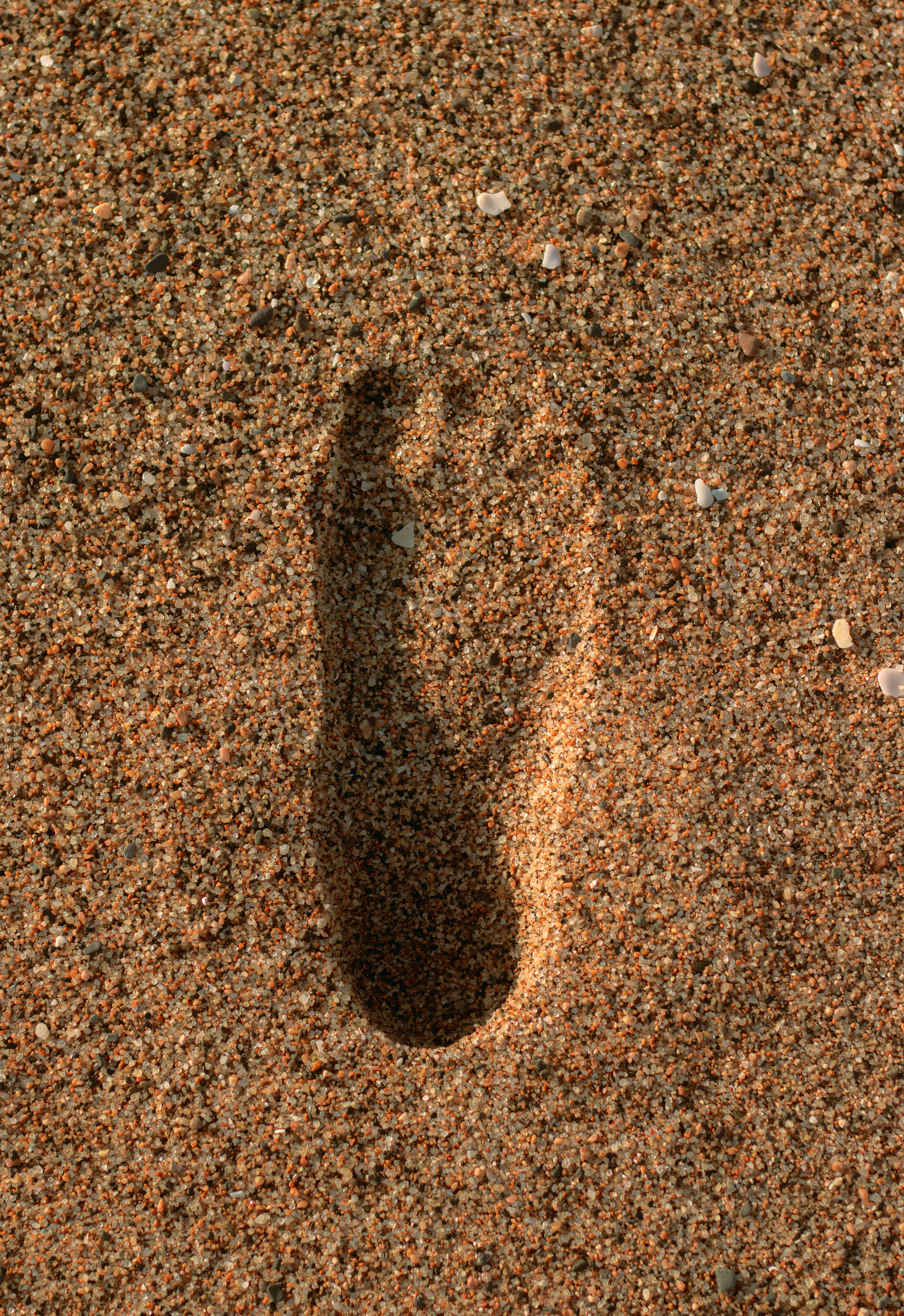 Footprint in the Sand · Free Stock Photo