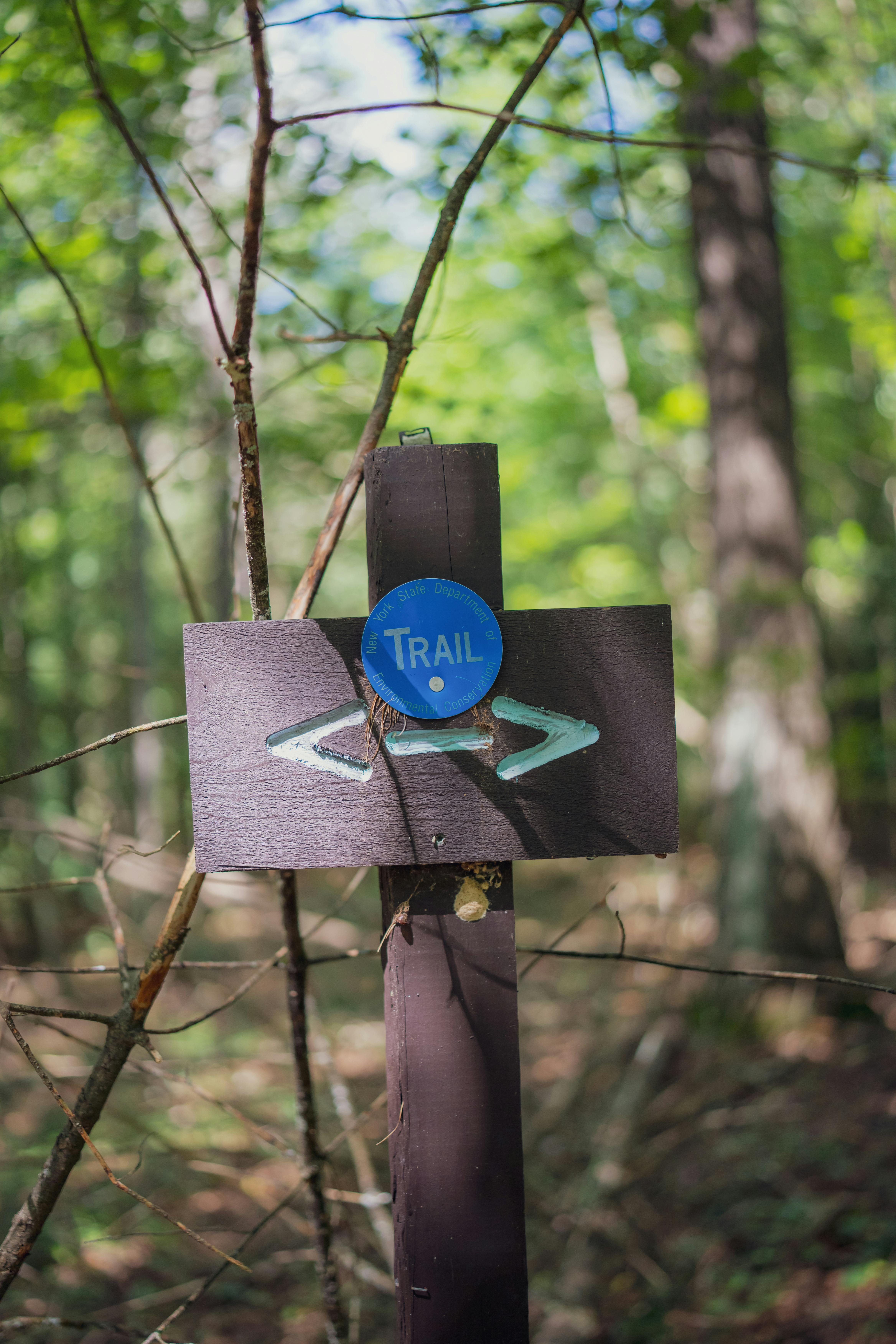 Close-up of a Pole with Directions to the Trail in the Forest · Free ...