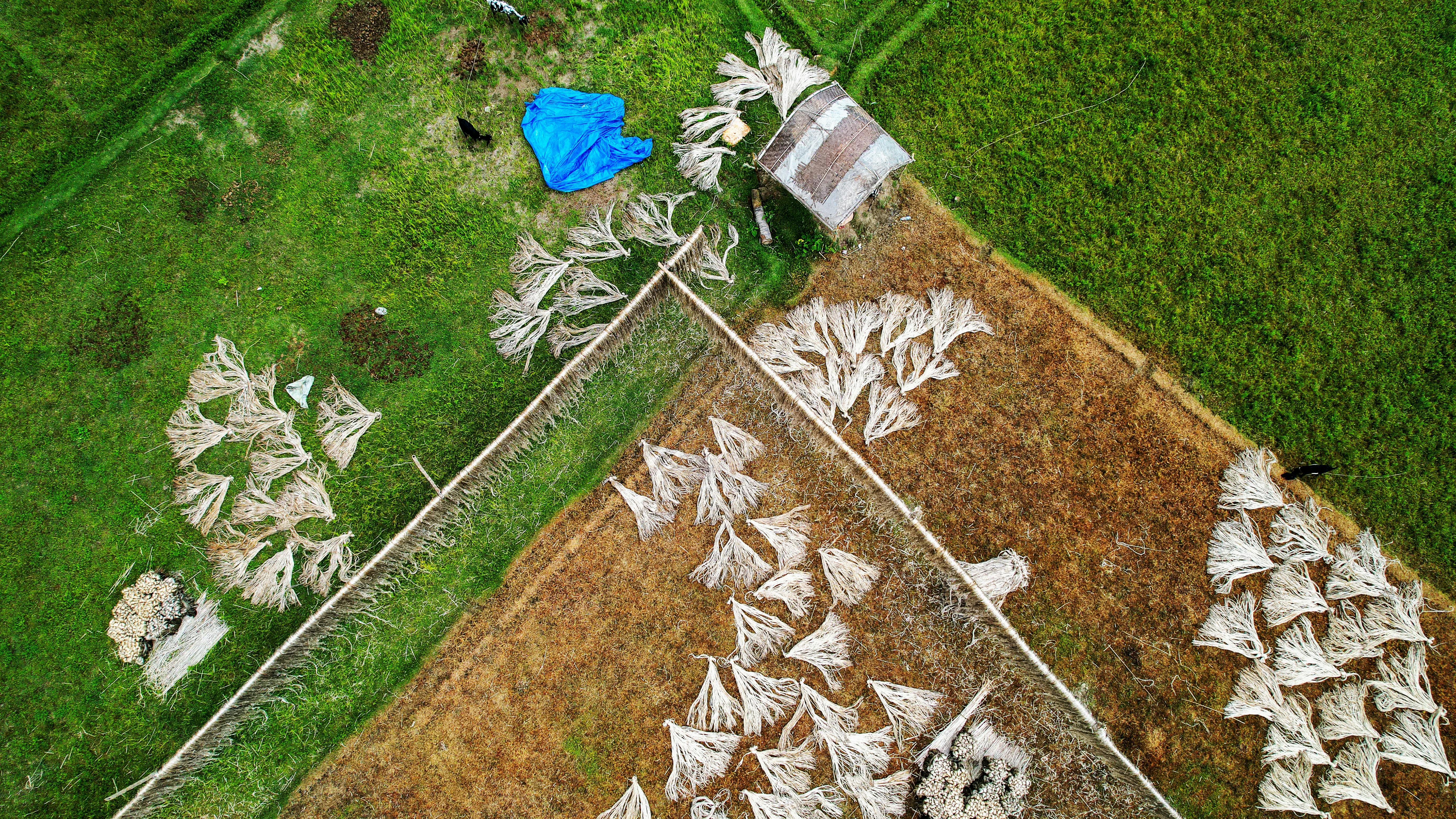 Crop Bundles Photos, Download The BEST Free Crop Bundles Stock Photos ...