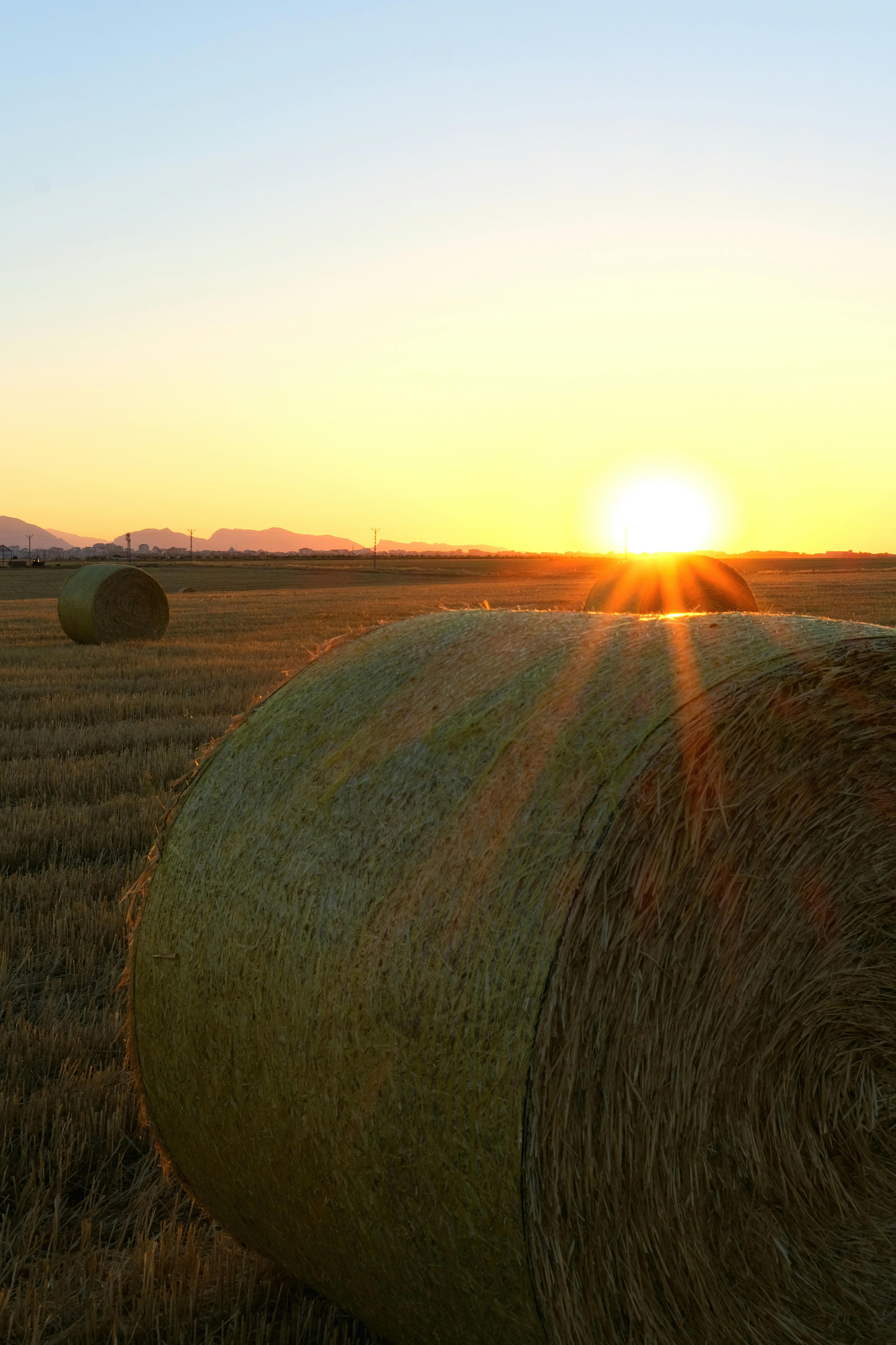 Hayfield During Sunset · Free Stock Photo