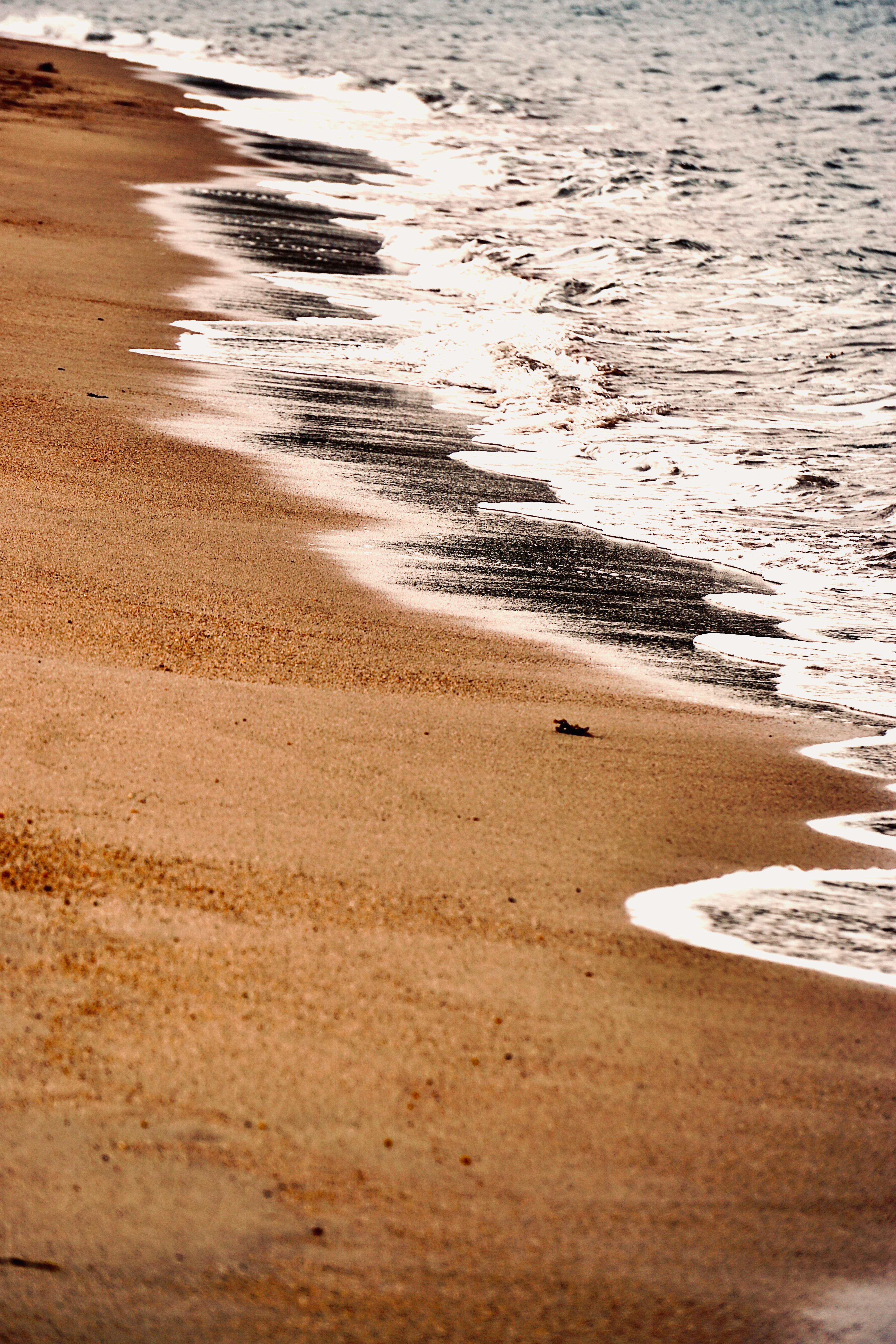 Wave on Beach · Free Stock Photo