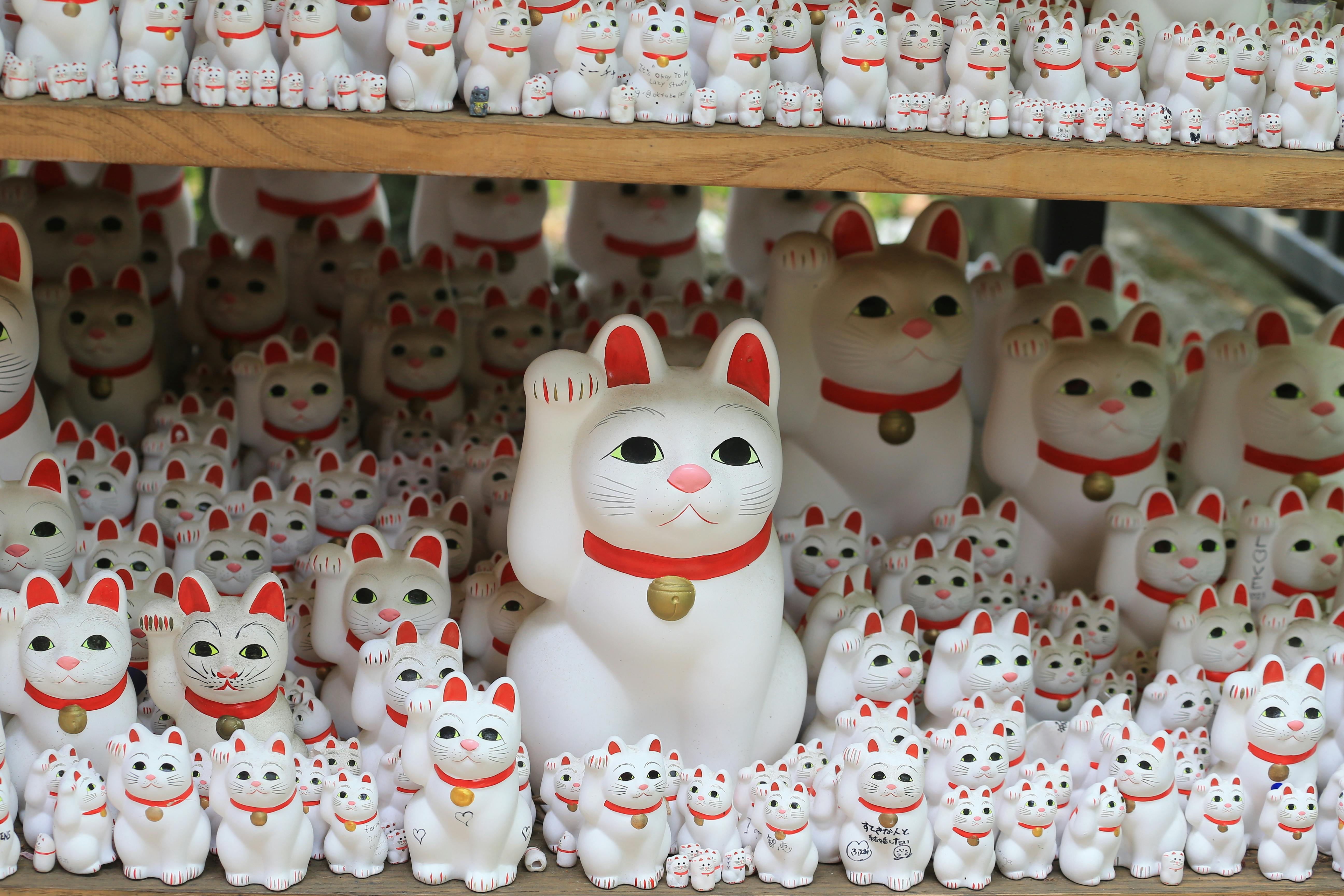 Maneki-neko Figurines at Daikeizan Gotoku-ji Temple in Tokyo, Japan ...