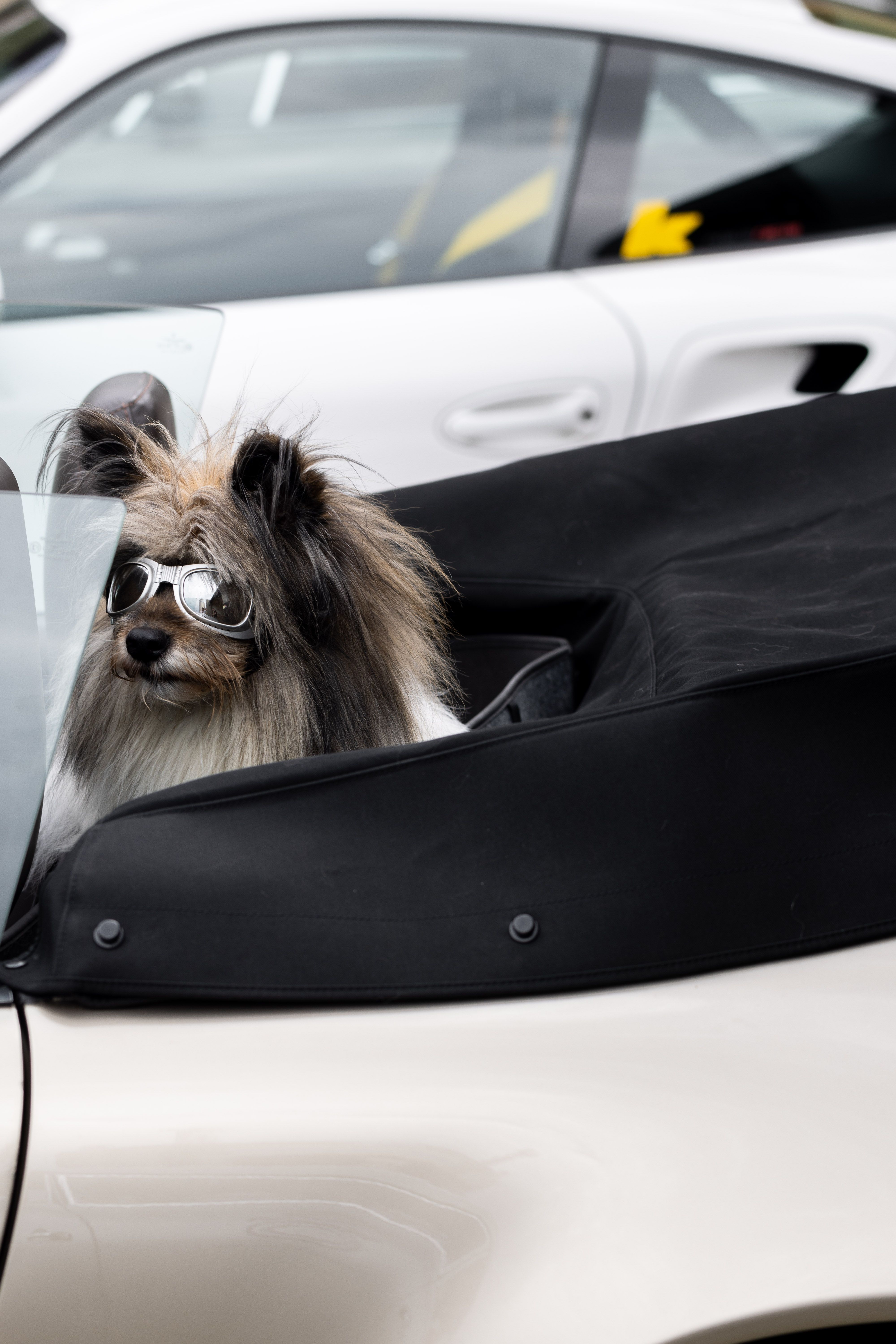 10+ Porsche Biler Bilder und Fotos · Kostenlos Downloaden · Pexels ...